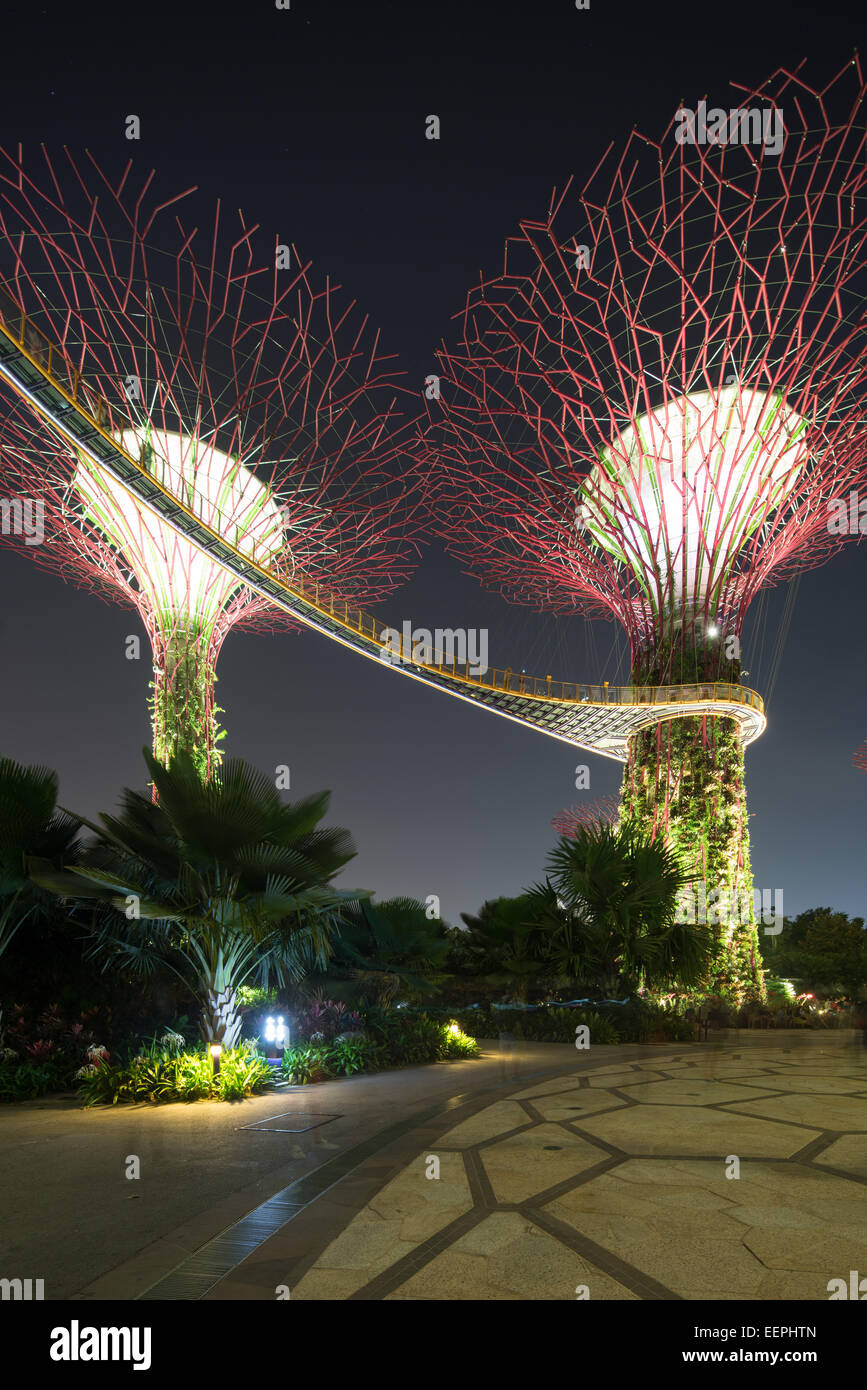 Gardens by the Bay and Super Tree Grove, Marina Bay, Singapore Stock ...