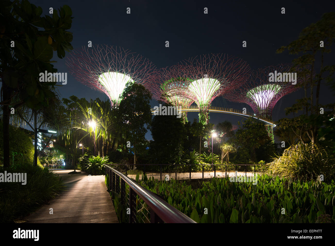 Gardens by the Bay and Super Tree Grove, Marina Bay, Singapore Stock ...