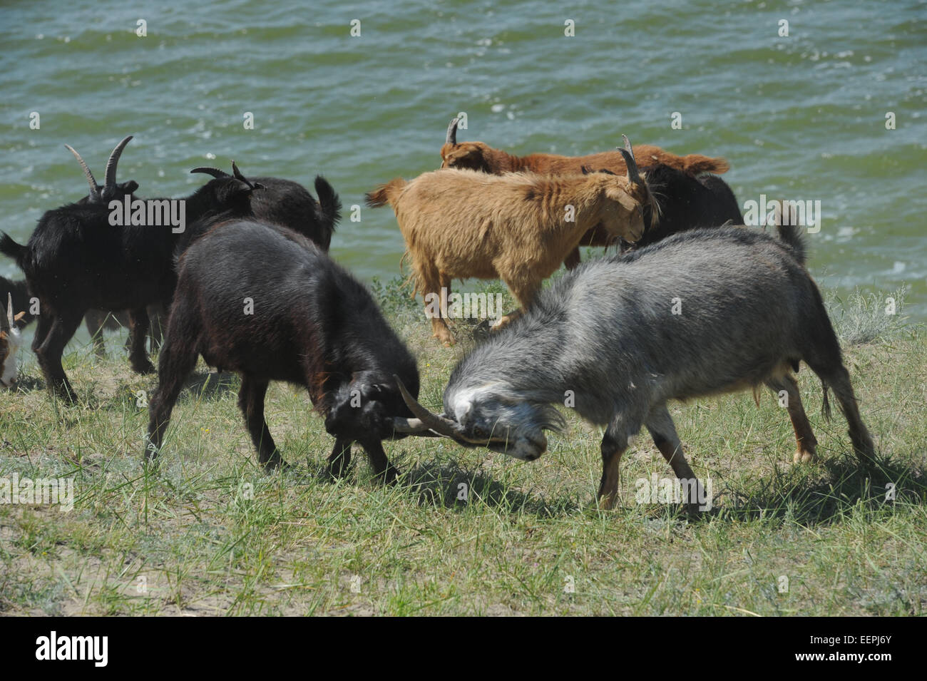 Beijing, China. 15th Aug, 2012. File photo taken on Aug. 15, 2012 shows ...