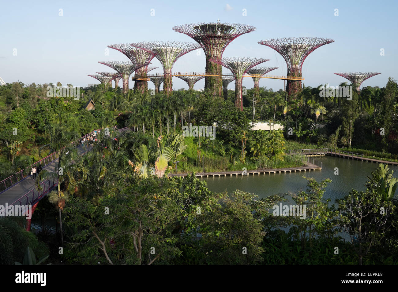 Gardens by the Bay and Super Tree Grove, Marina Bay, Singapore Stock ...