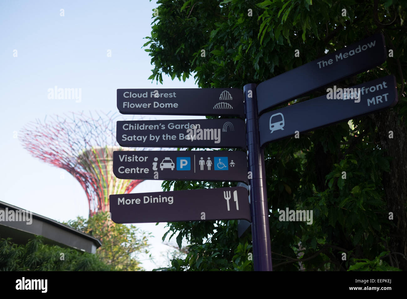 Gardens by the Bay and Super Tree Grove, Marina Bay, Singapore Stock ...