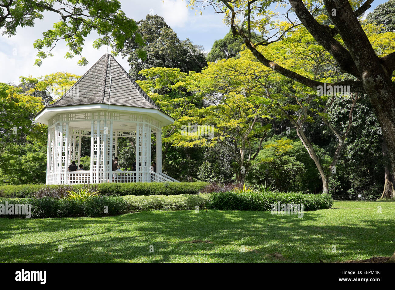 Singapore botanic gardens hi-res stock photography and images - Alamy