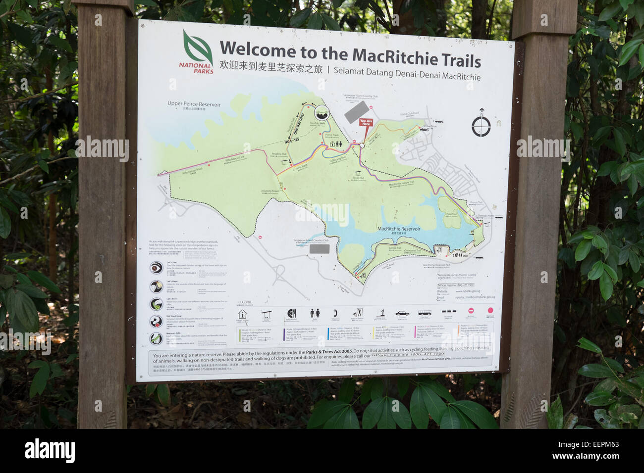 Singapore Tree Top nature walk Stock Photo - Alamy