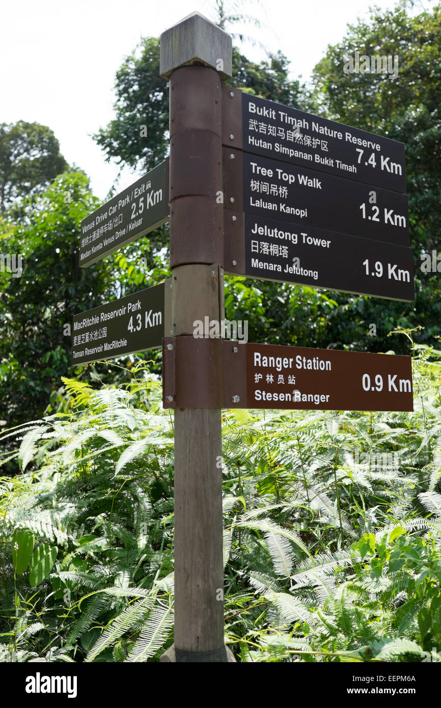 Singapore Tree Top nature walk Stock Photo - Alamy