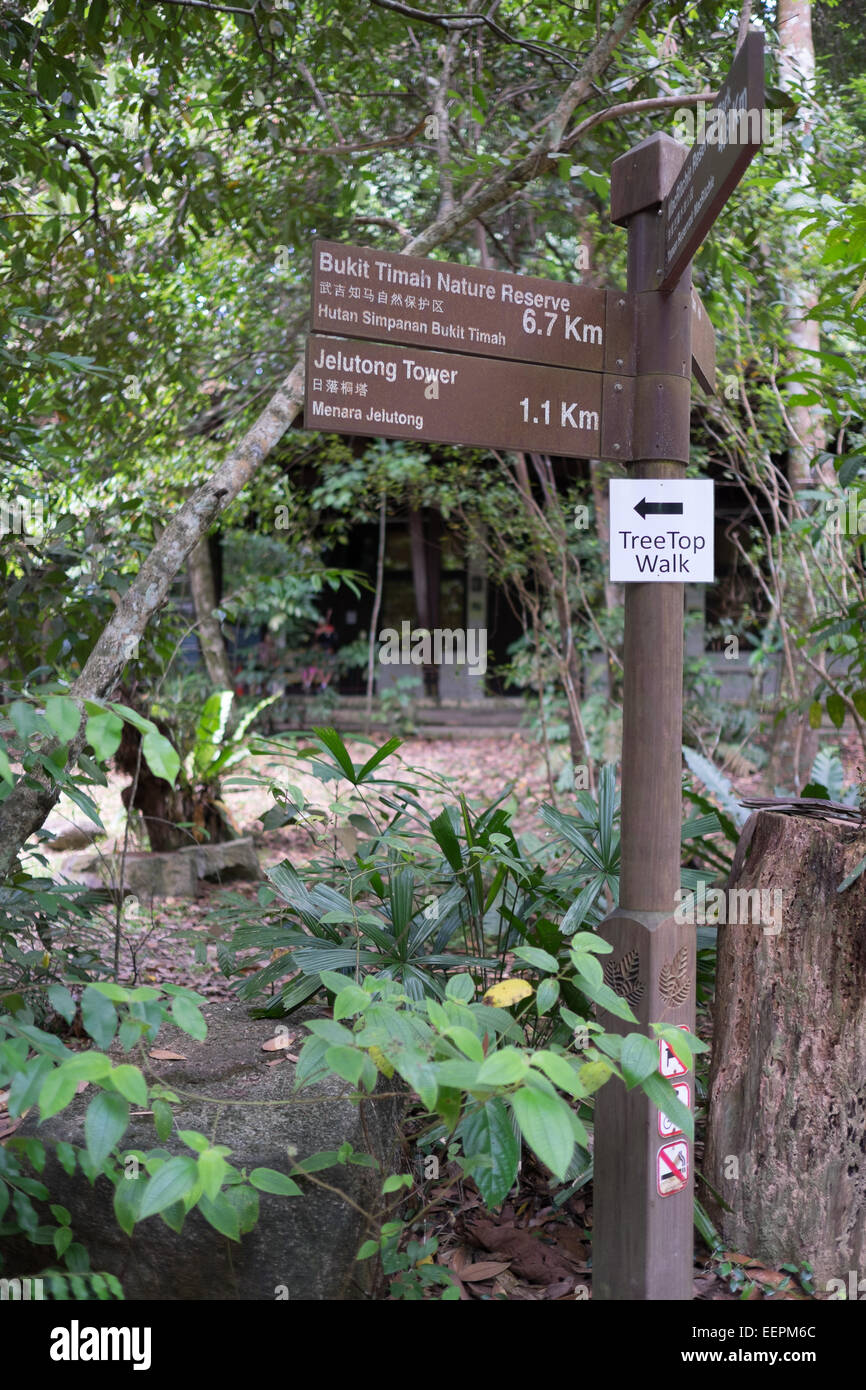 Singapore Tree Top nature walk Stock Photo - Alamy