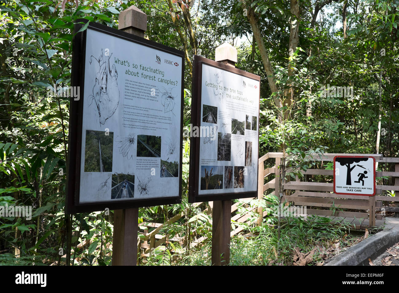 Singapore Tree Top nature walk Stock Photo - Alamy