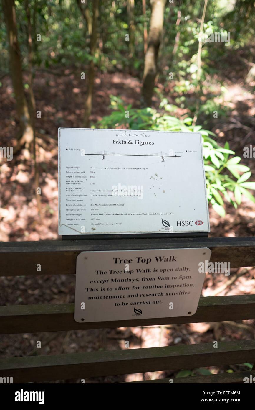 Singapore macritchie nature trail hi-res stock photography and images ...