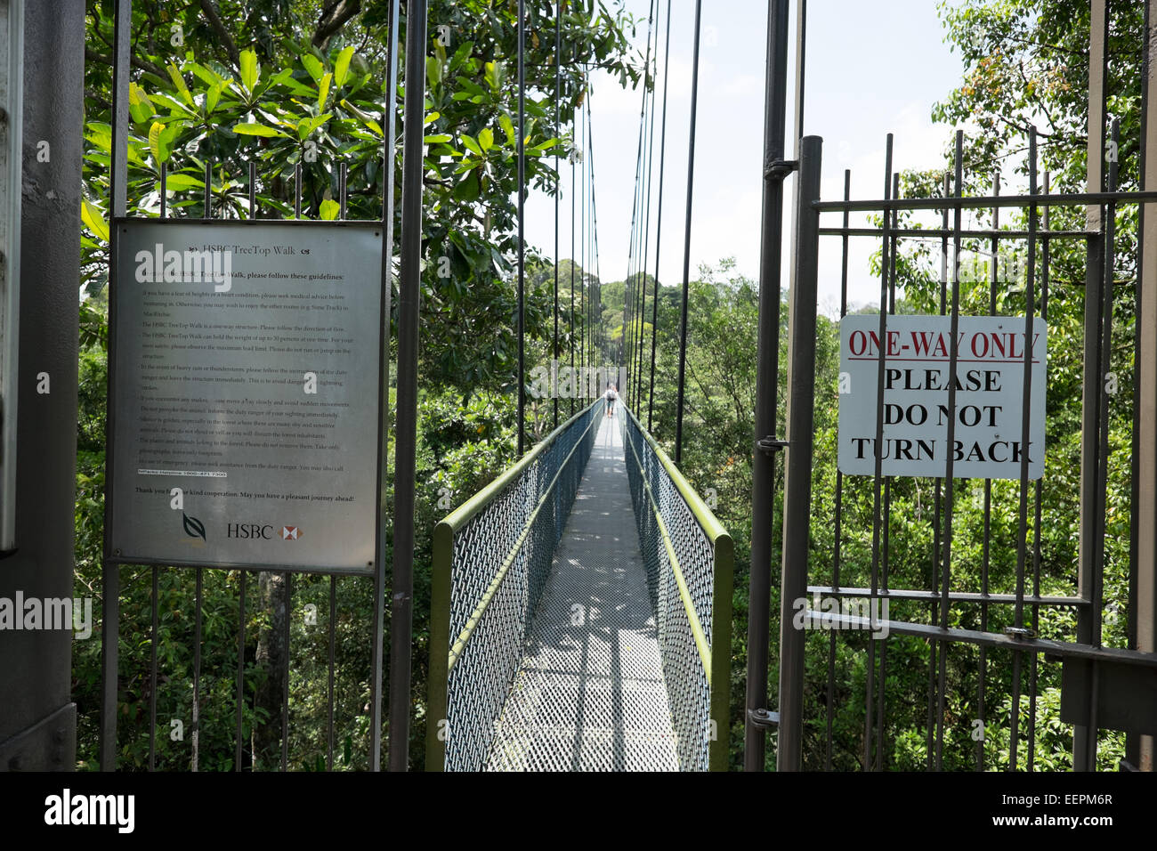 Singapore Tree Top nature walk Stock Photo - Alamy