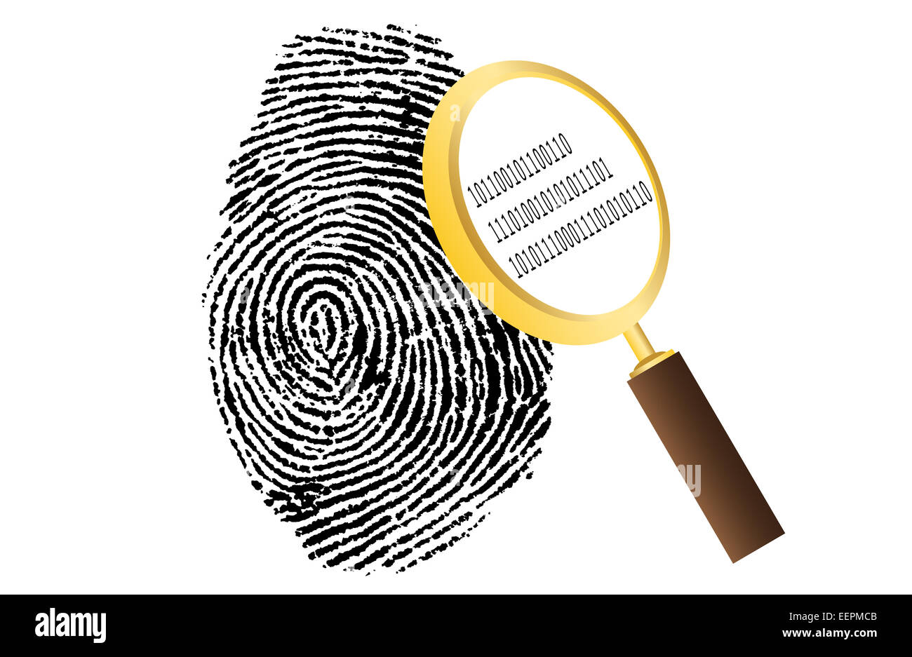 fingerprint with magnifying glass and binary code security illustration ...