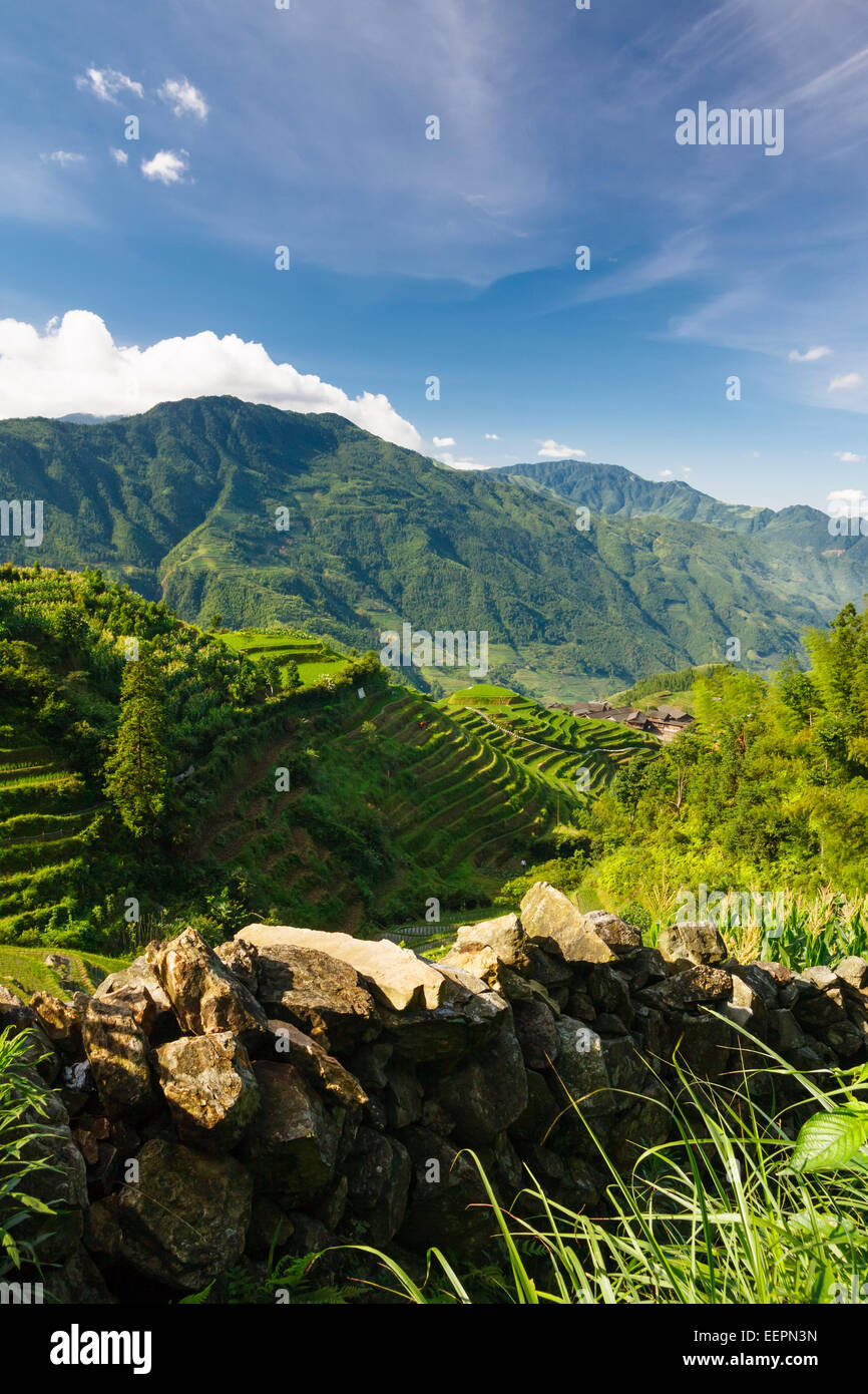 Landscape photo of rice terraces in china Stock Photo - Alamy