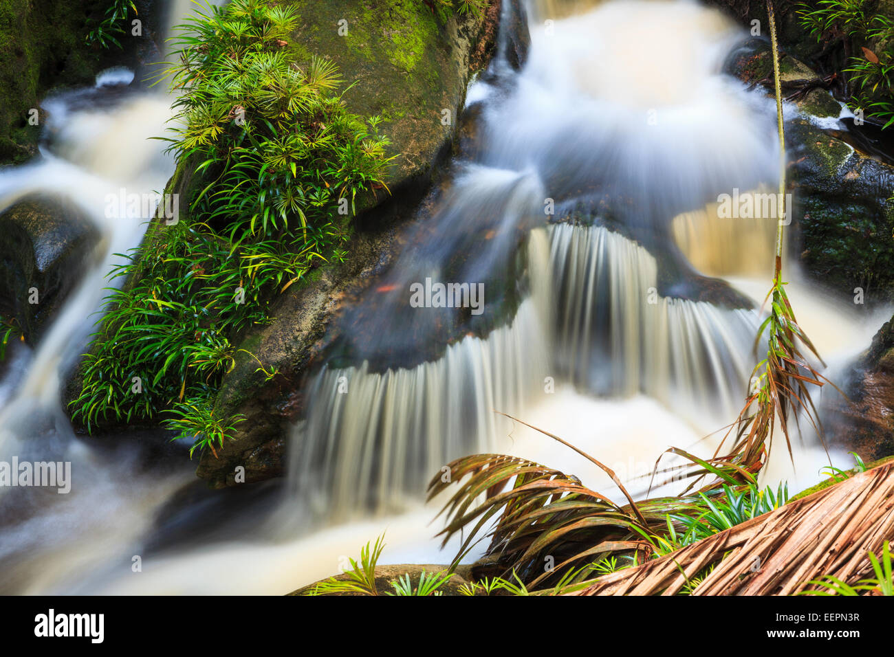 Malaysia divide hi-res stock photography and images - Alamy