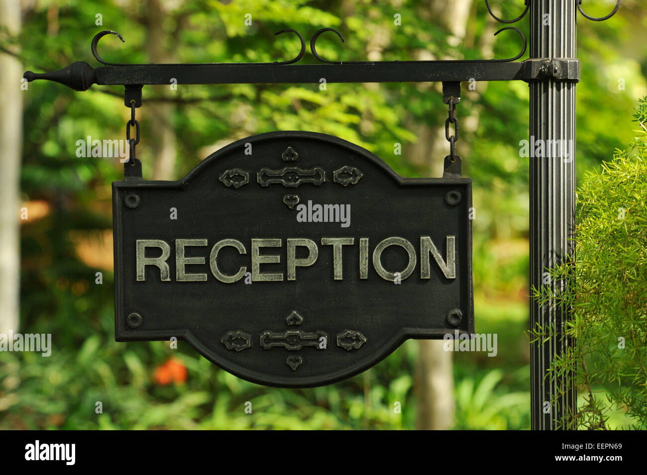 Weathered green Hotel Reception sign hanging on pole in green garden ...
