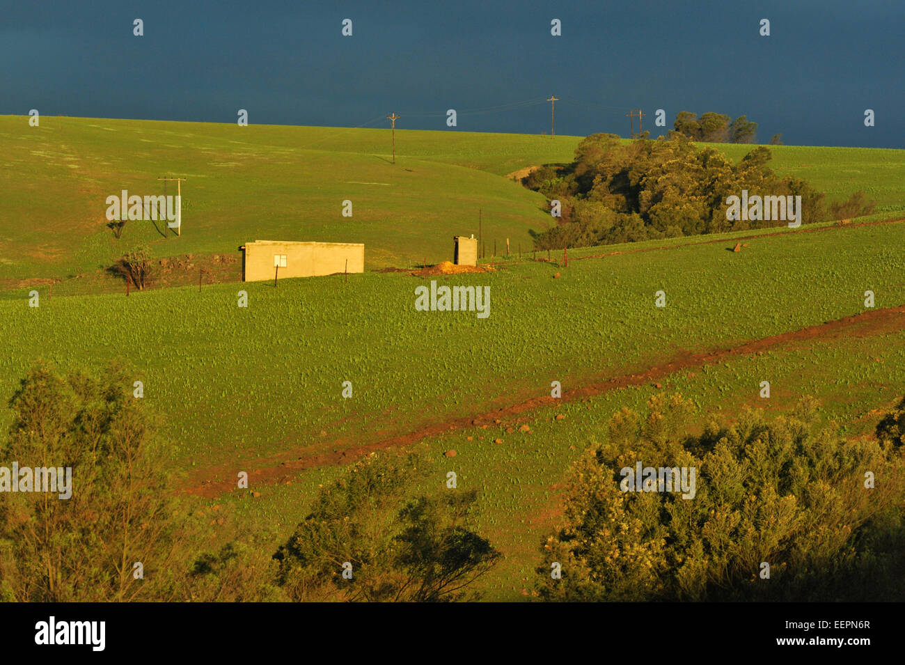 Landscape zulu housing hi-res stock photography and images - Alamy