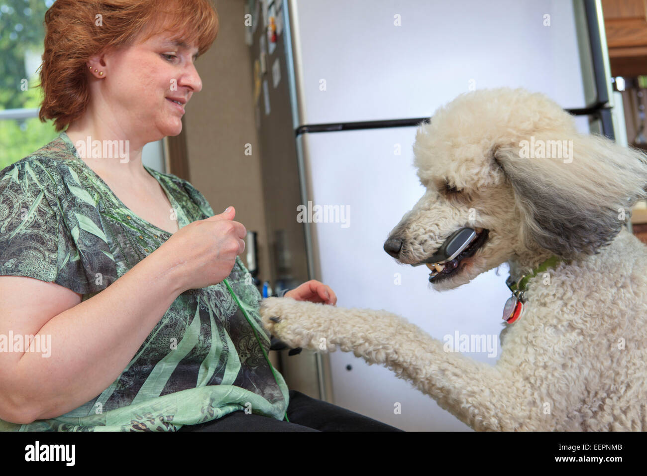Handing view hi-res stock photography and images - Alamy