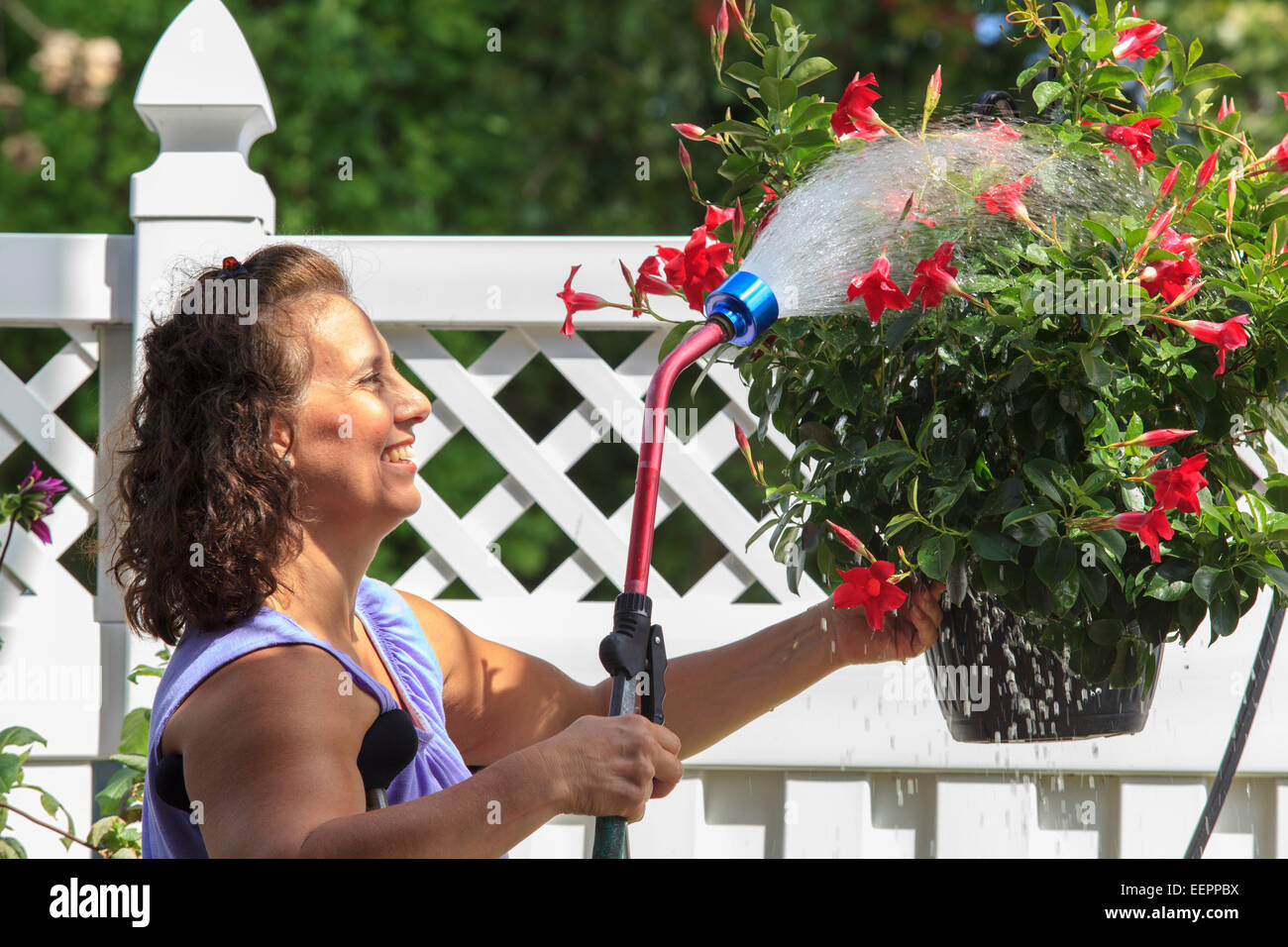 Hose pipe spraying hi-res stock photography and images - Alamy