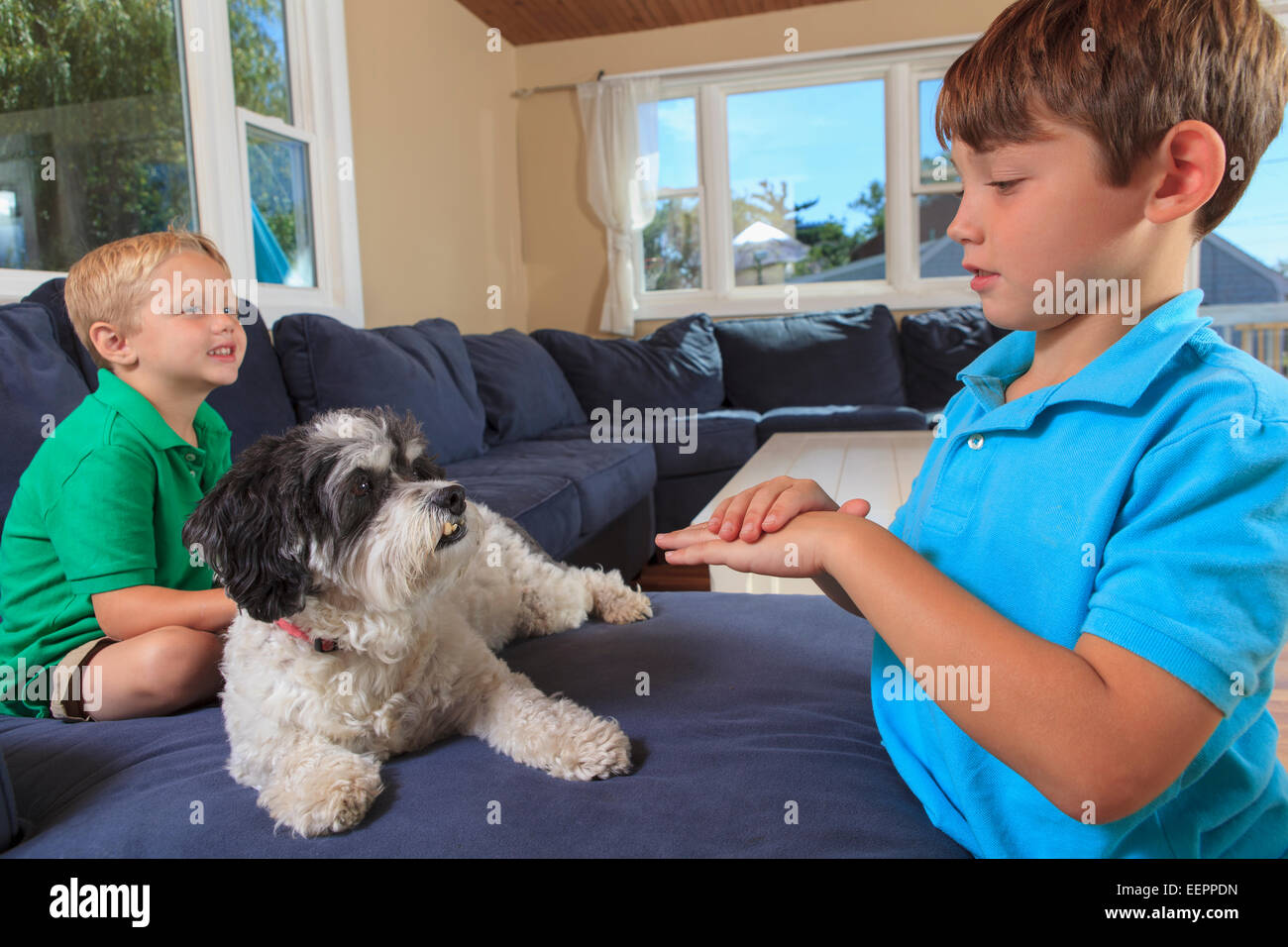 Boys with hearing impairments signing 'pet' in American sign language ...