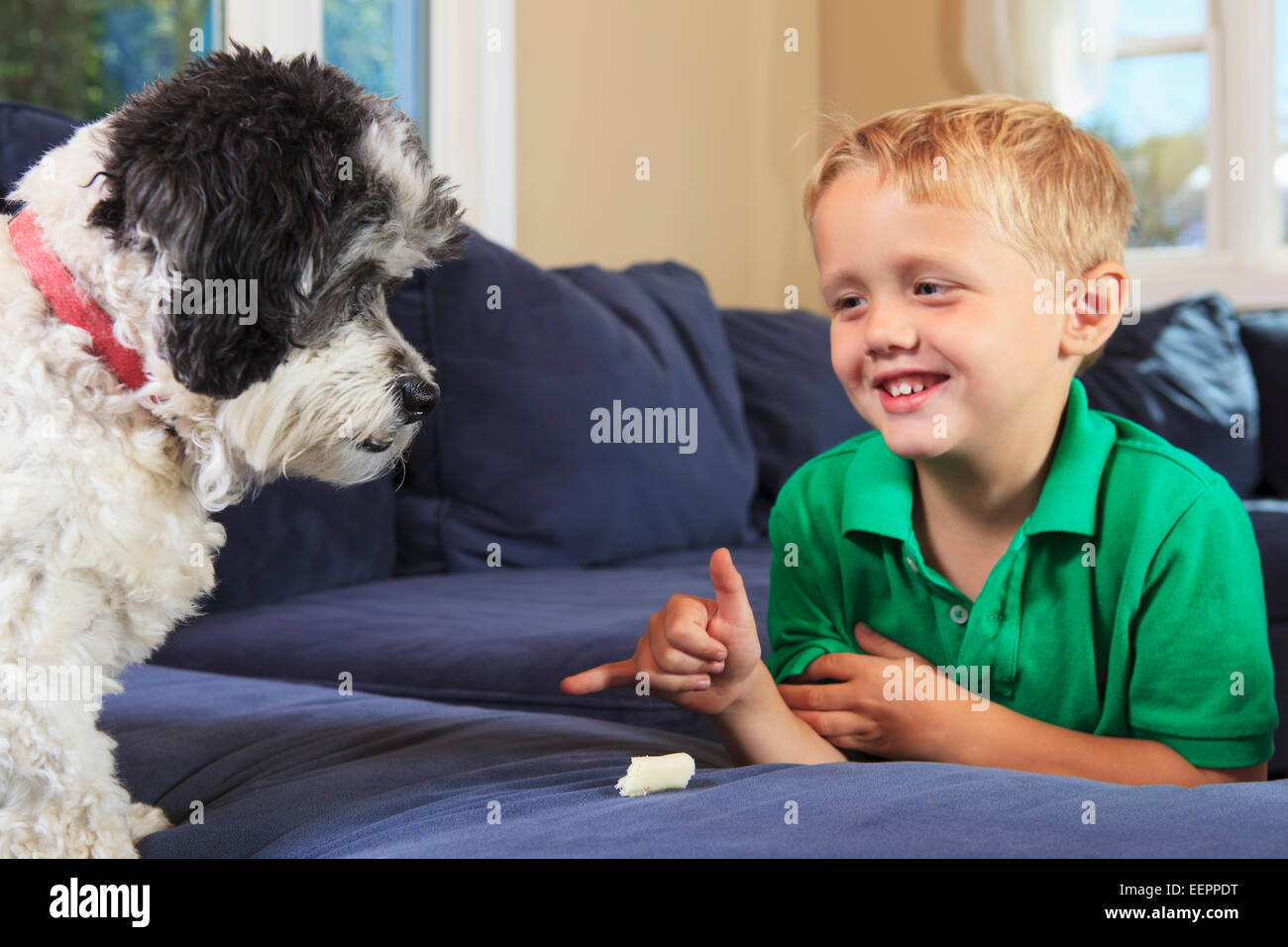 Boy with hearing impairments signing 'stay' in American sign language ...