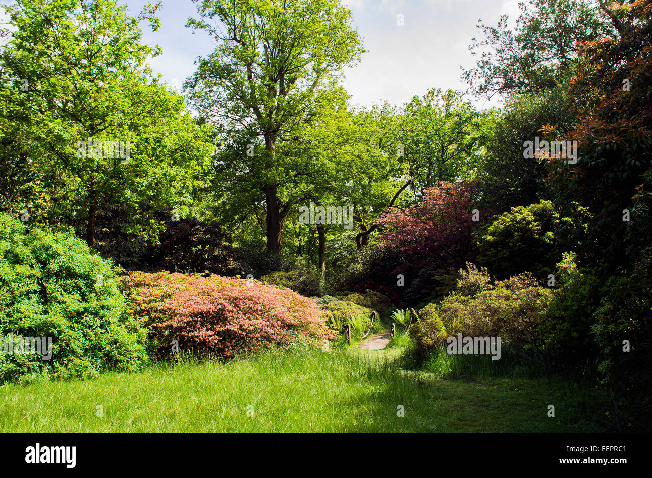 High Beeches Garden Stock Photo - Alamy