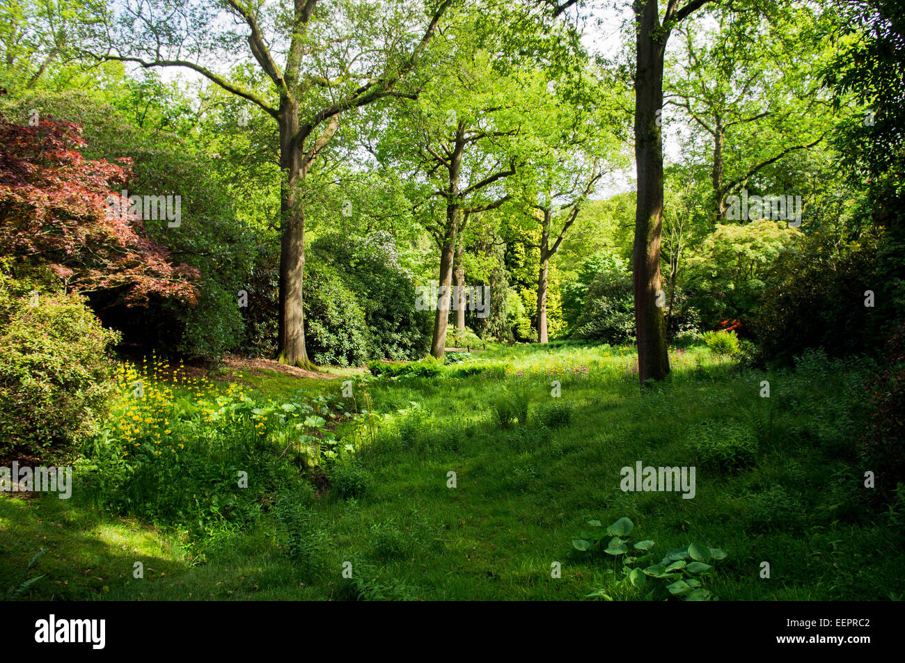 High beeches gardens hi-res stock photography and images - Alamy
