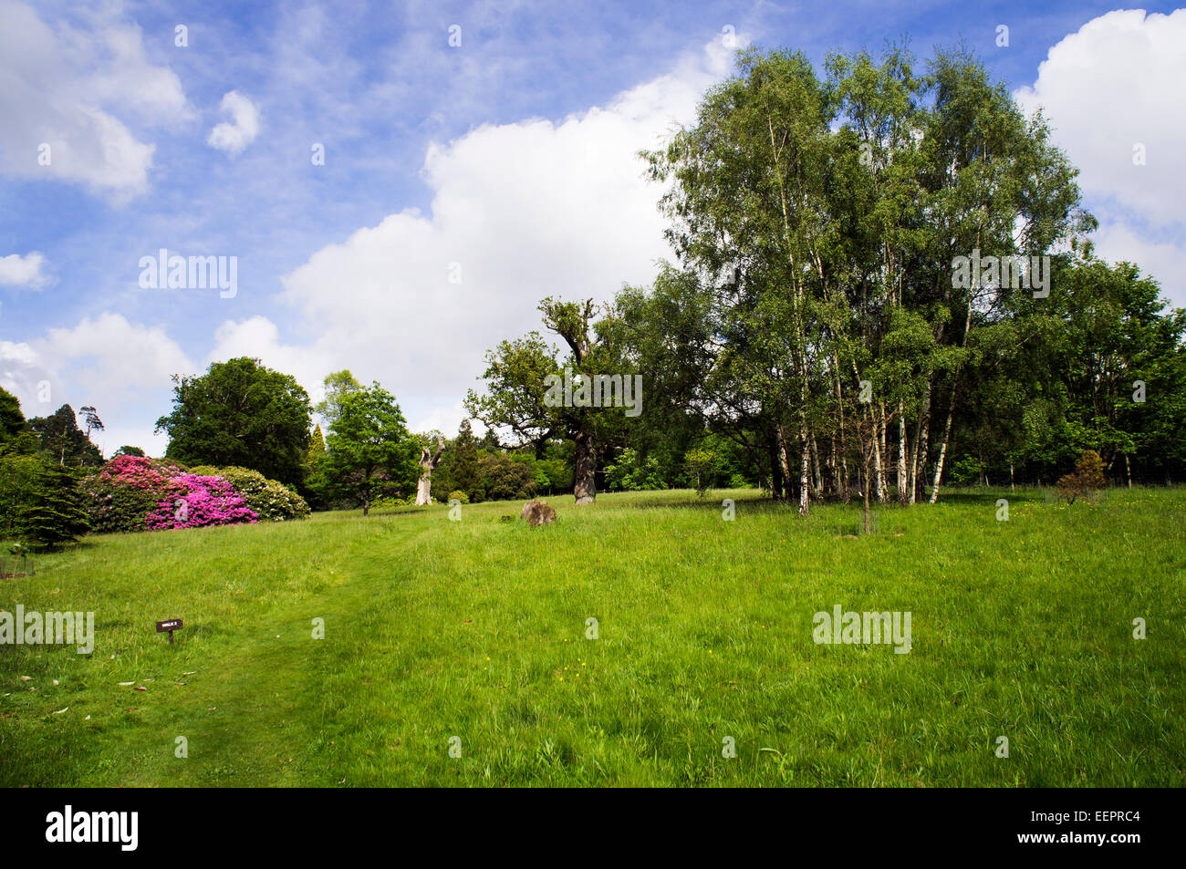 High Beeches Garden Stock Photo - Alamy