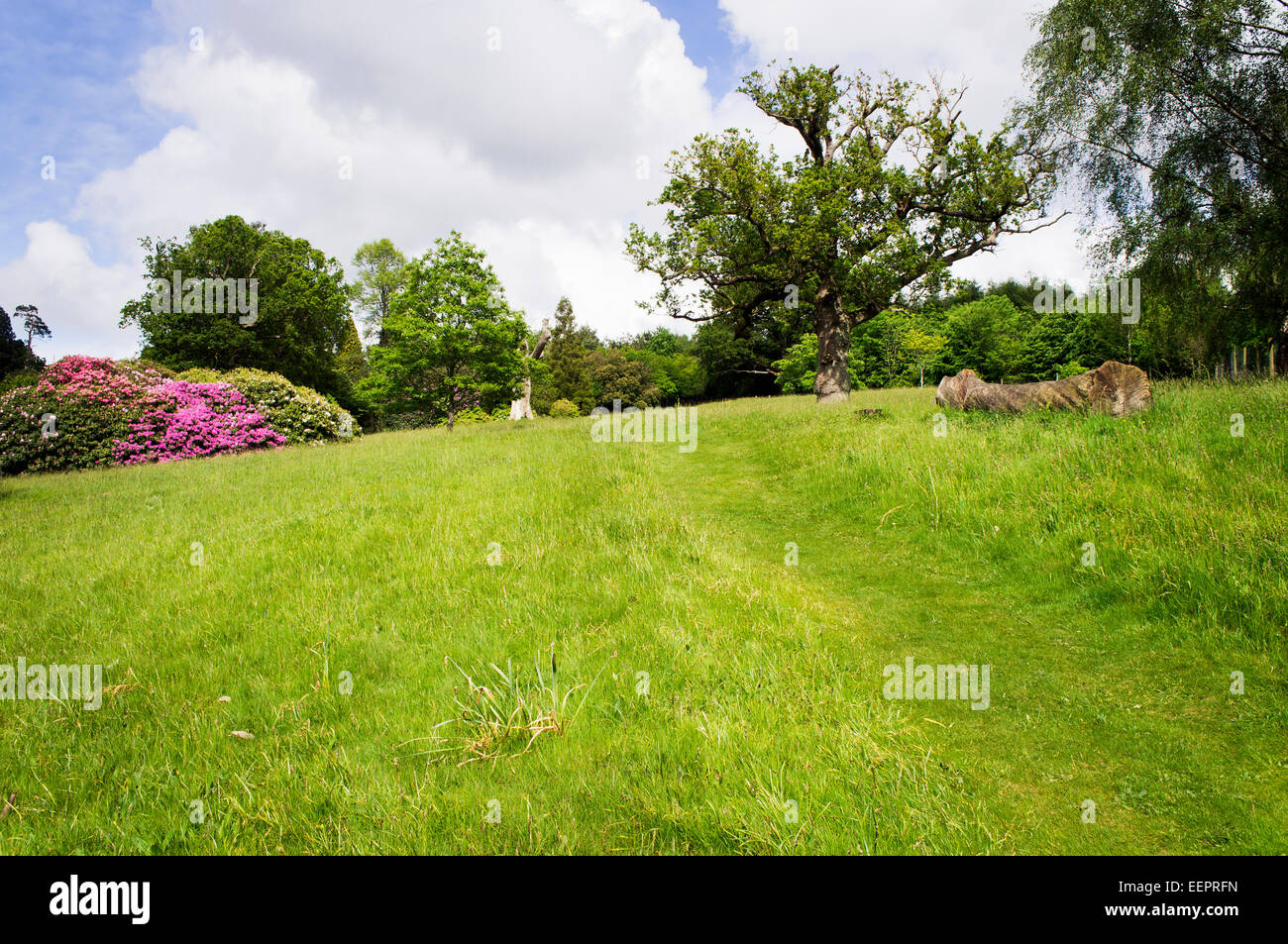 High Beeches Garden Stock Photo - Alamy
