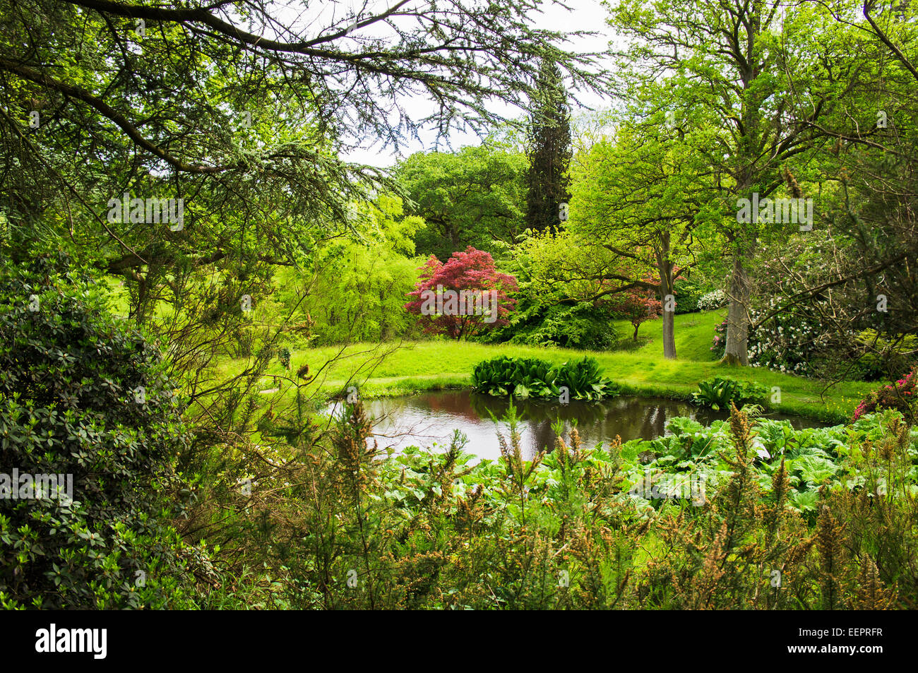 High Beeches Garden Stock Photo - Alamy