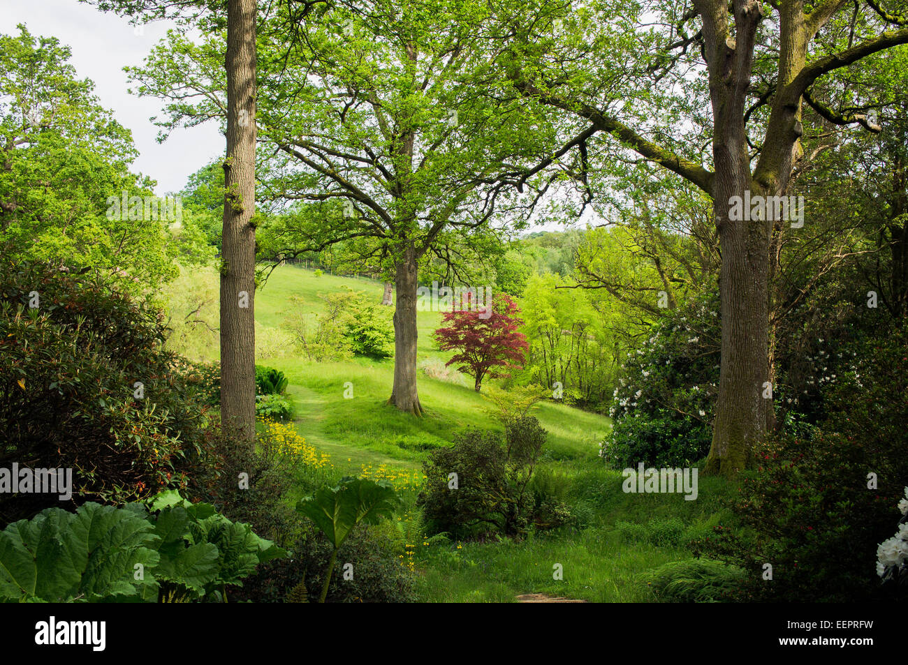 High Beeches Garden Stock Photo - Alamy