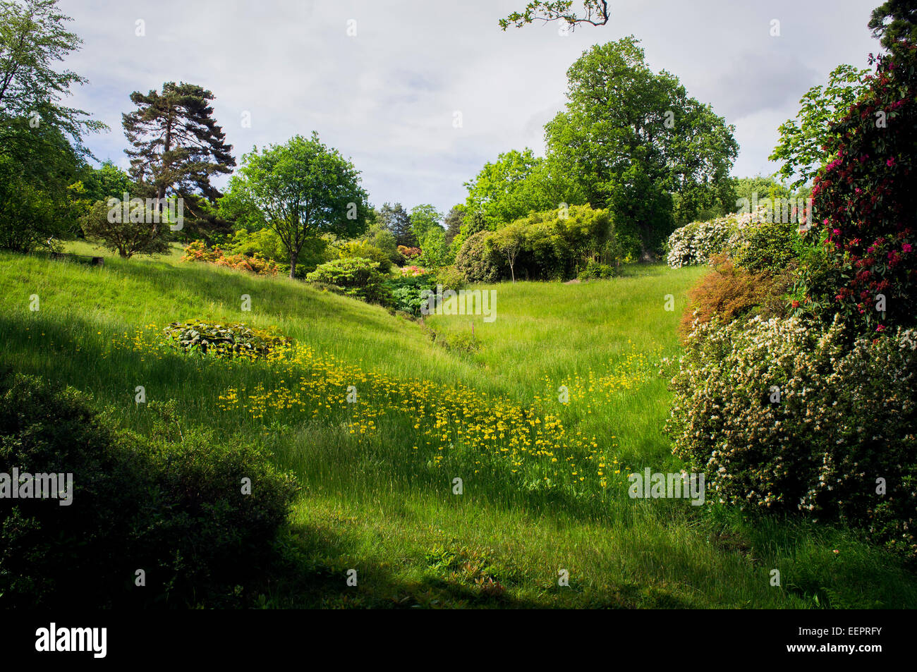 High Beeches Garden Stock Photo - Alamy