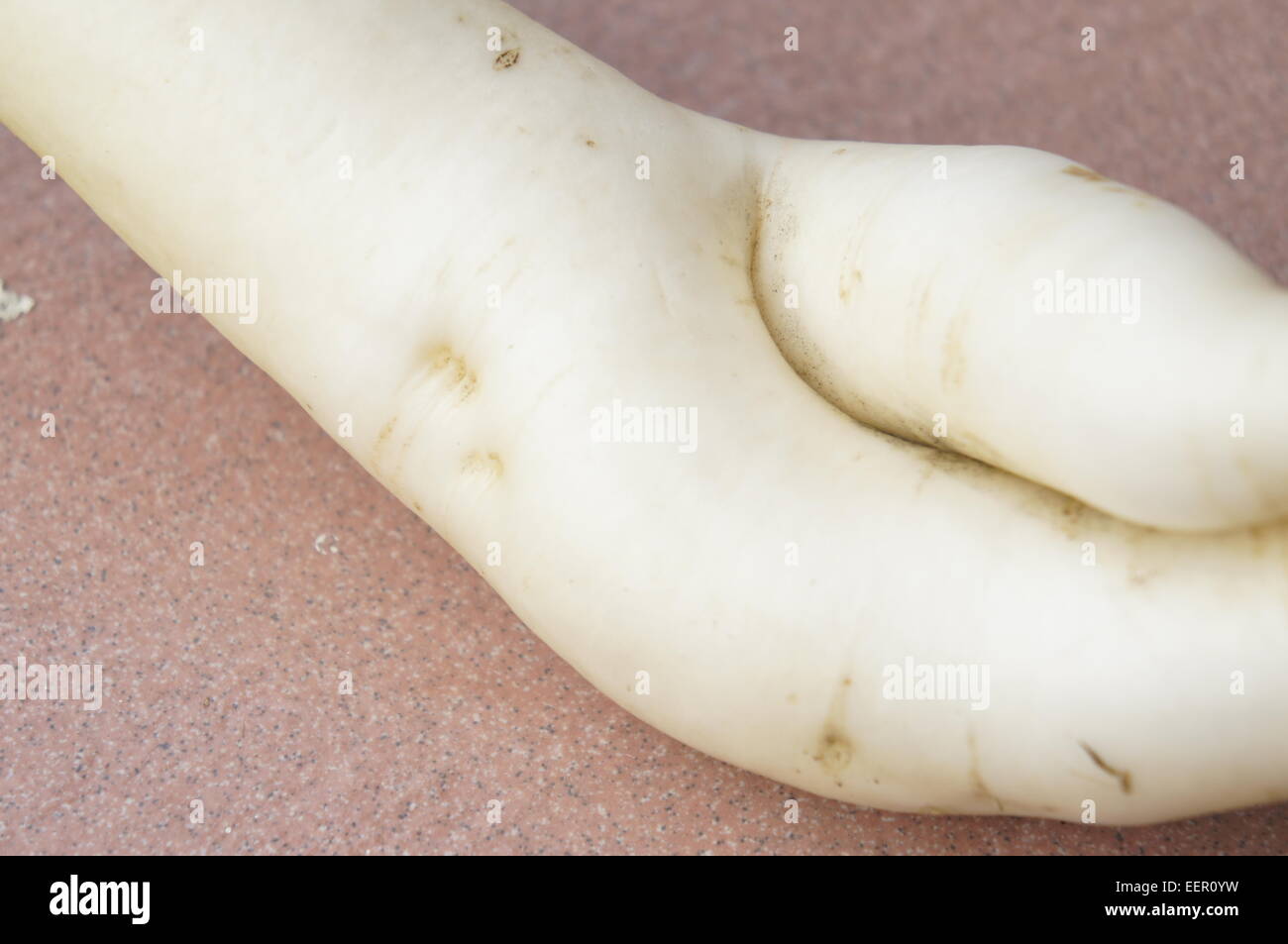 white radish with twisted roots looking like human torso with legs ...