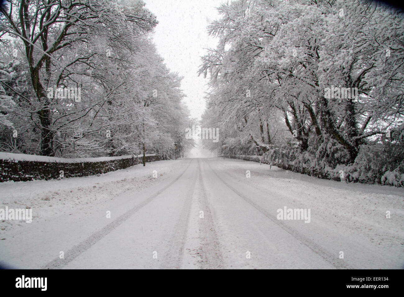Sheffield, UK. 21st Jan, 2015. Heavy snow continues to fall in ...