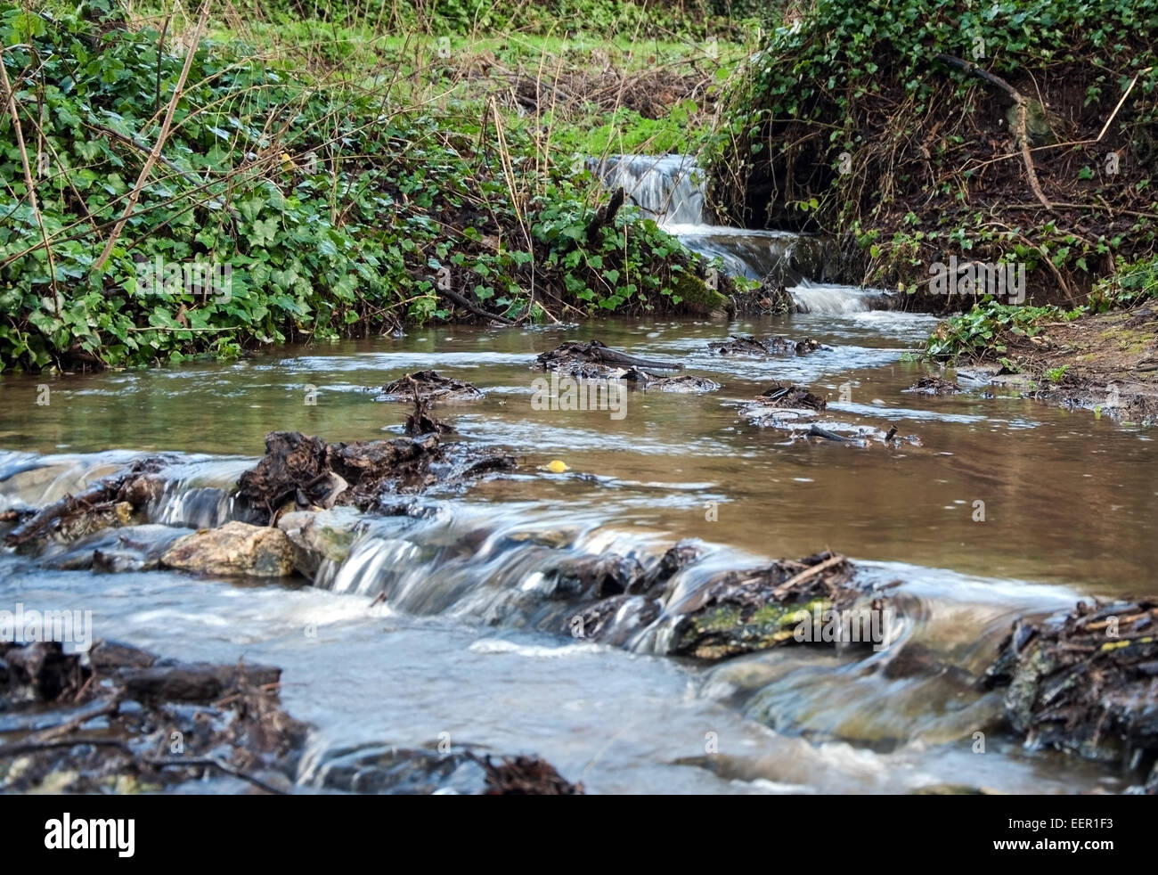 Little stream hi-res stock photography and images - Alamy