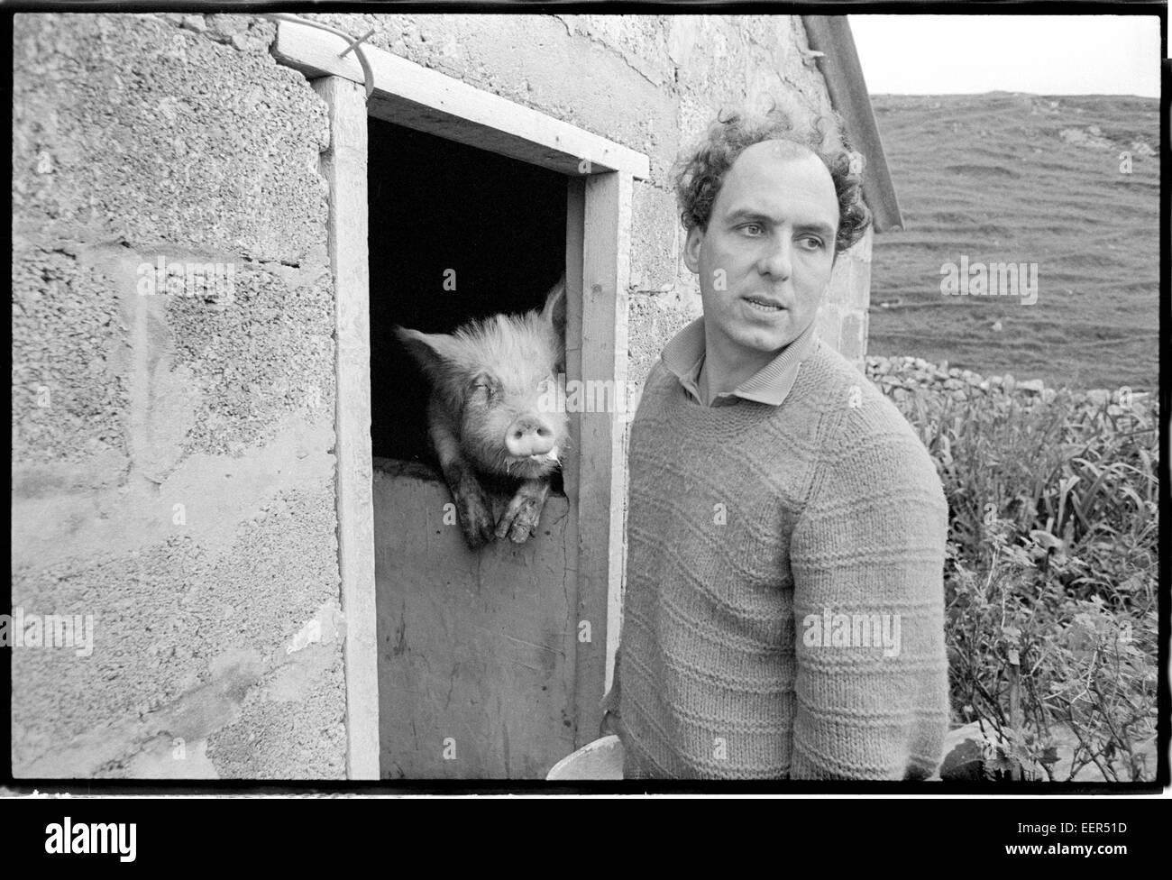 Dave the pigman, Bixter, Shetland Stock Photo - Alamy