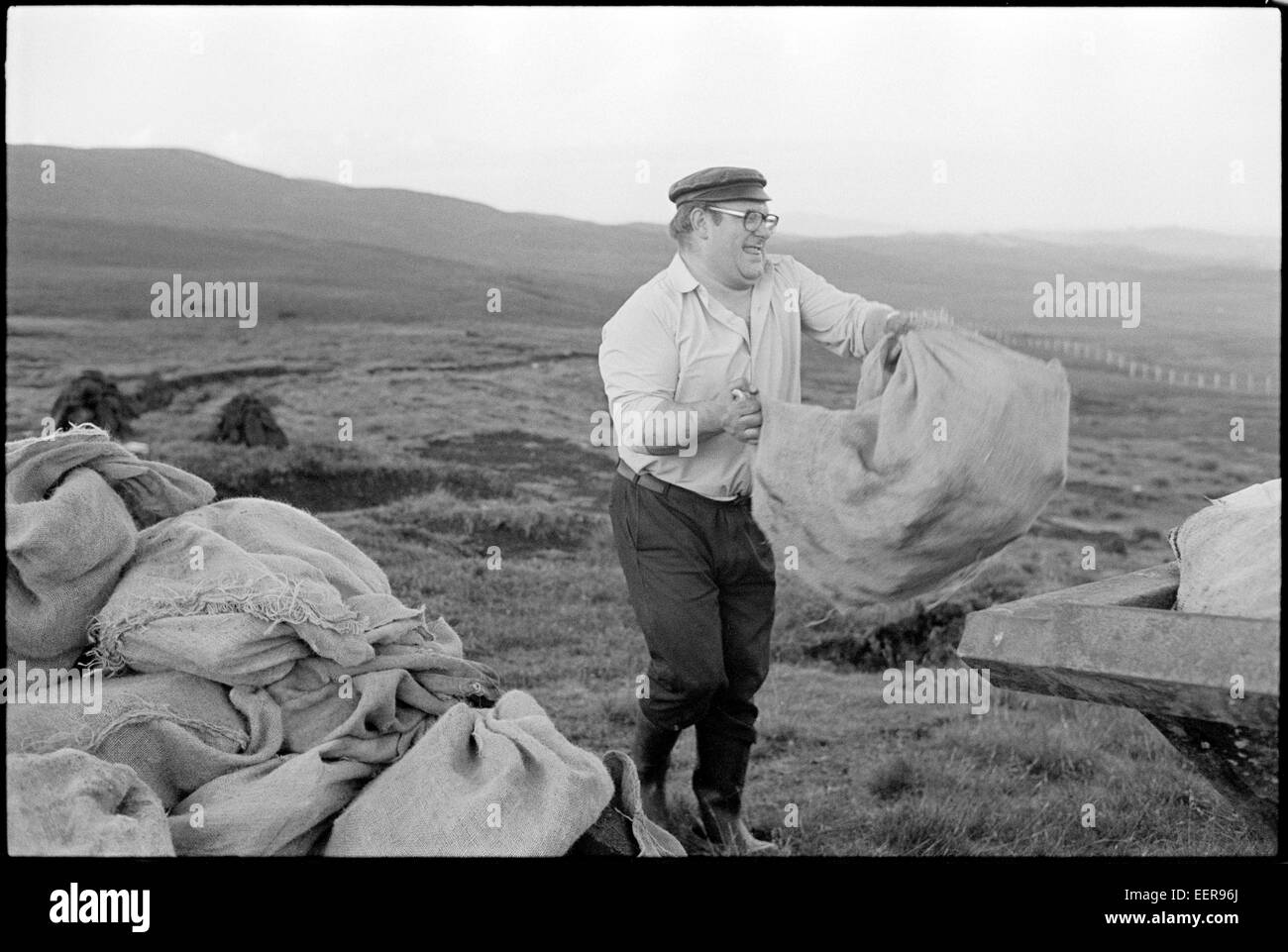 Bringing in the peat, Shetland Stock Photo - Alamy