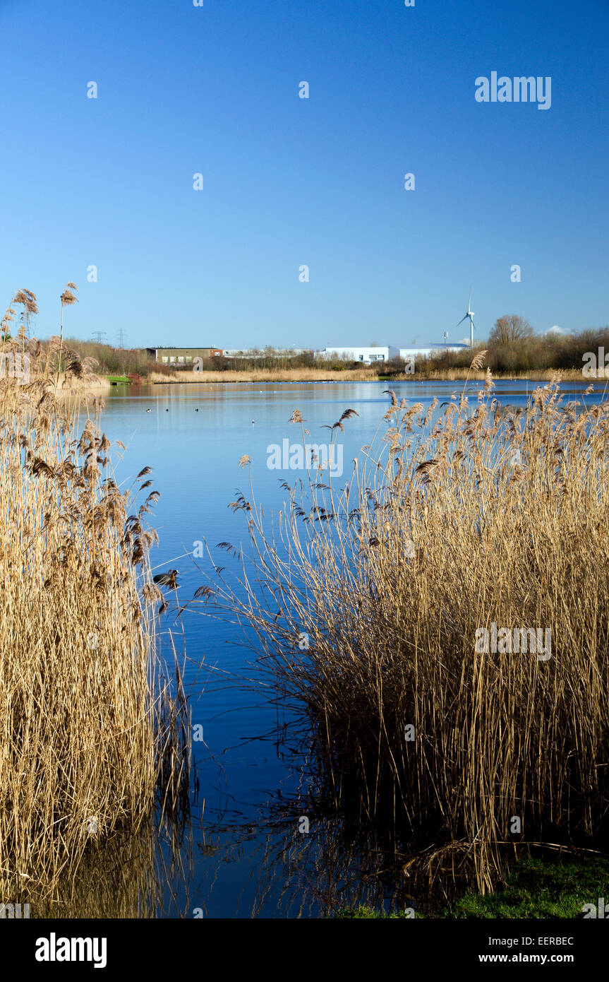 Lamby Lake, Tredelerch Park, Lamby Way, Cardiff, South Wales Stock ...