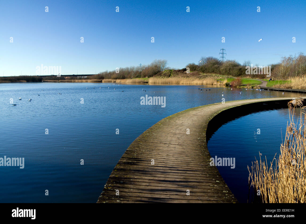 Curved Walkway, Lamby Lake, Tredelerch Park, Lamby Way, Cardiff, South ...