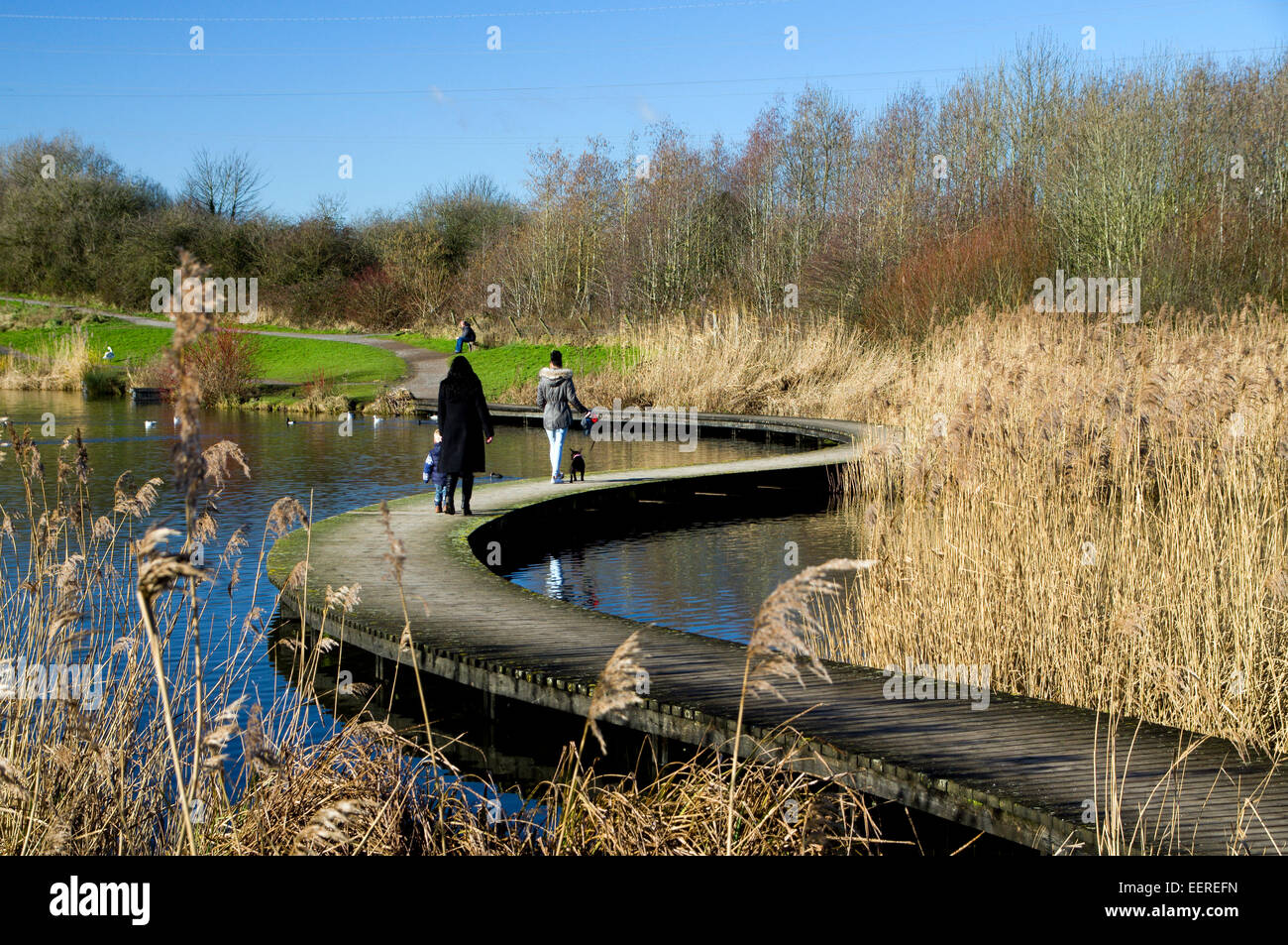 Curved Walkway, Lamby Lake, Tredelerch Park, Lamby Way, Cardiff, South ...