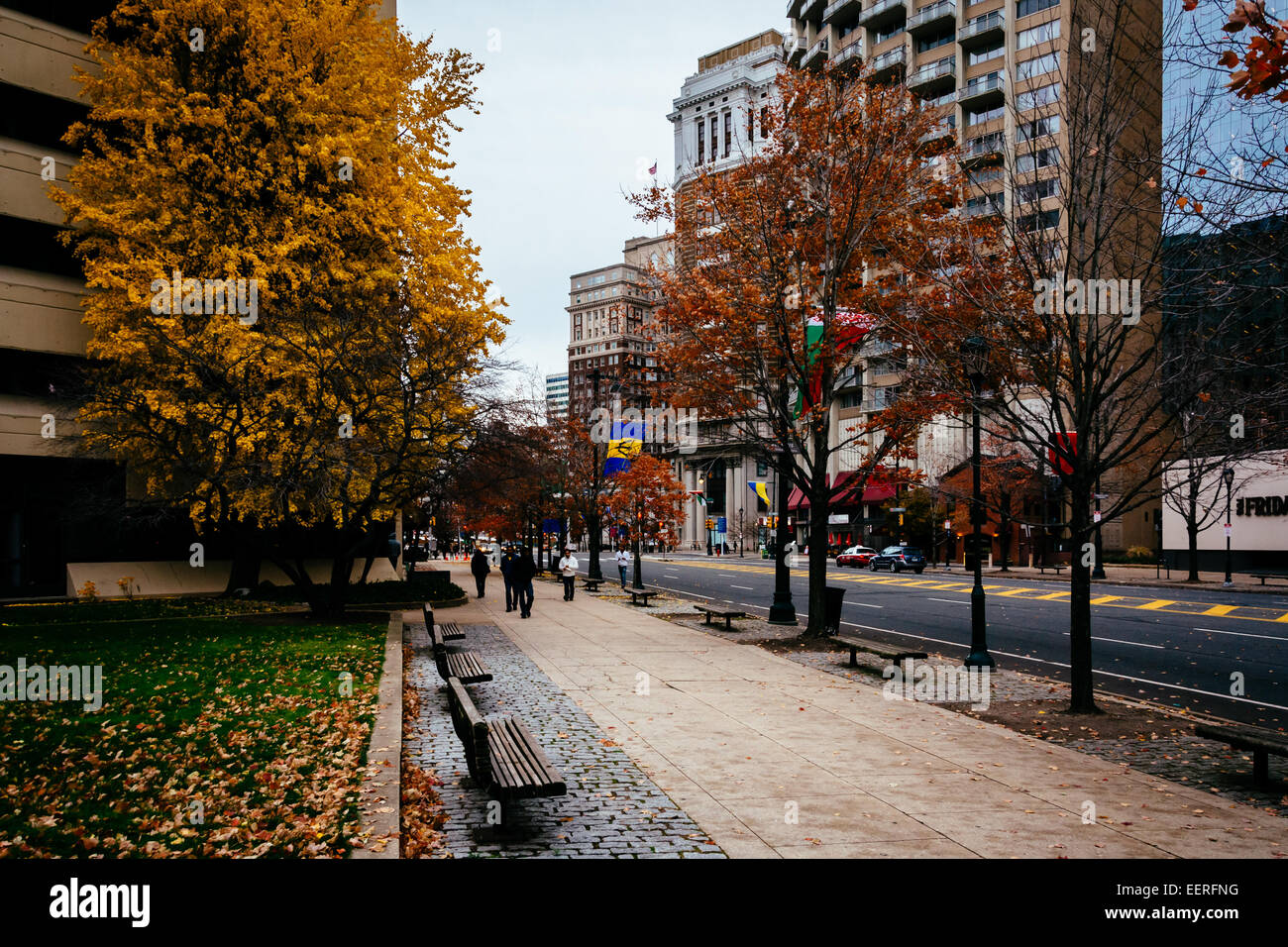 Buildings along Benjamin Franklin Parkway in Philadelphia, Pennsylvania ...