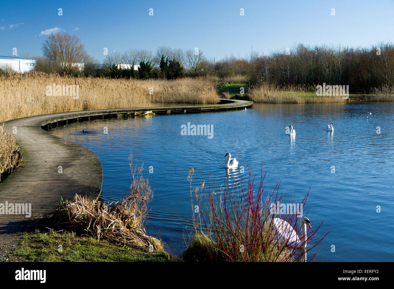 Lamby way hi-res stock photography and images - Alamy