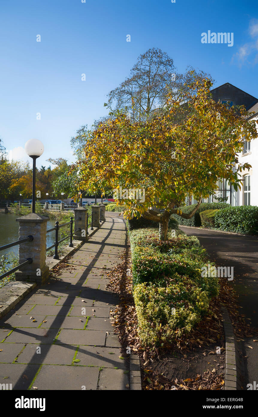 Riverside riverside riverside riverside tree hi-res stock photography ...