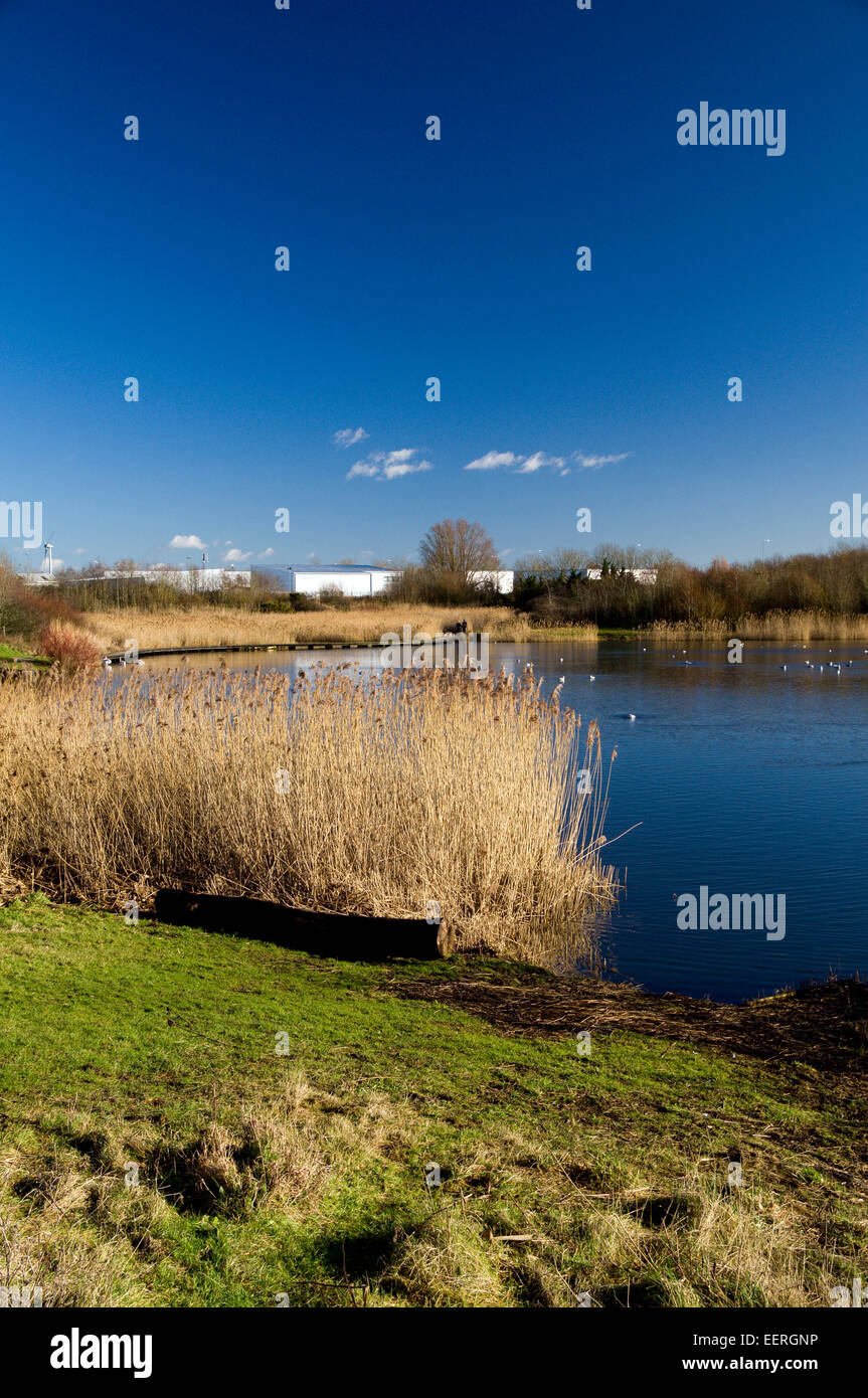 Lamby way hi-res stock photography and images - Alamy
