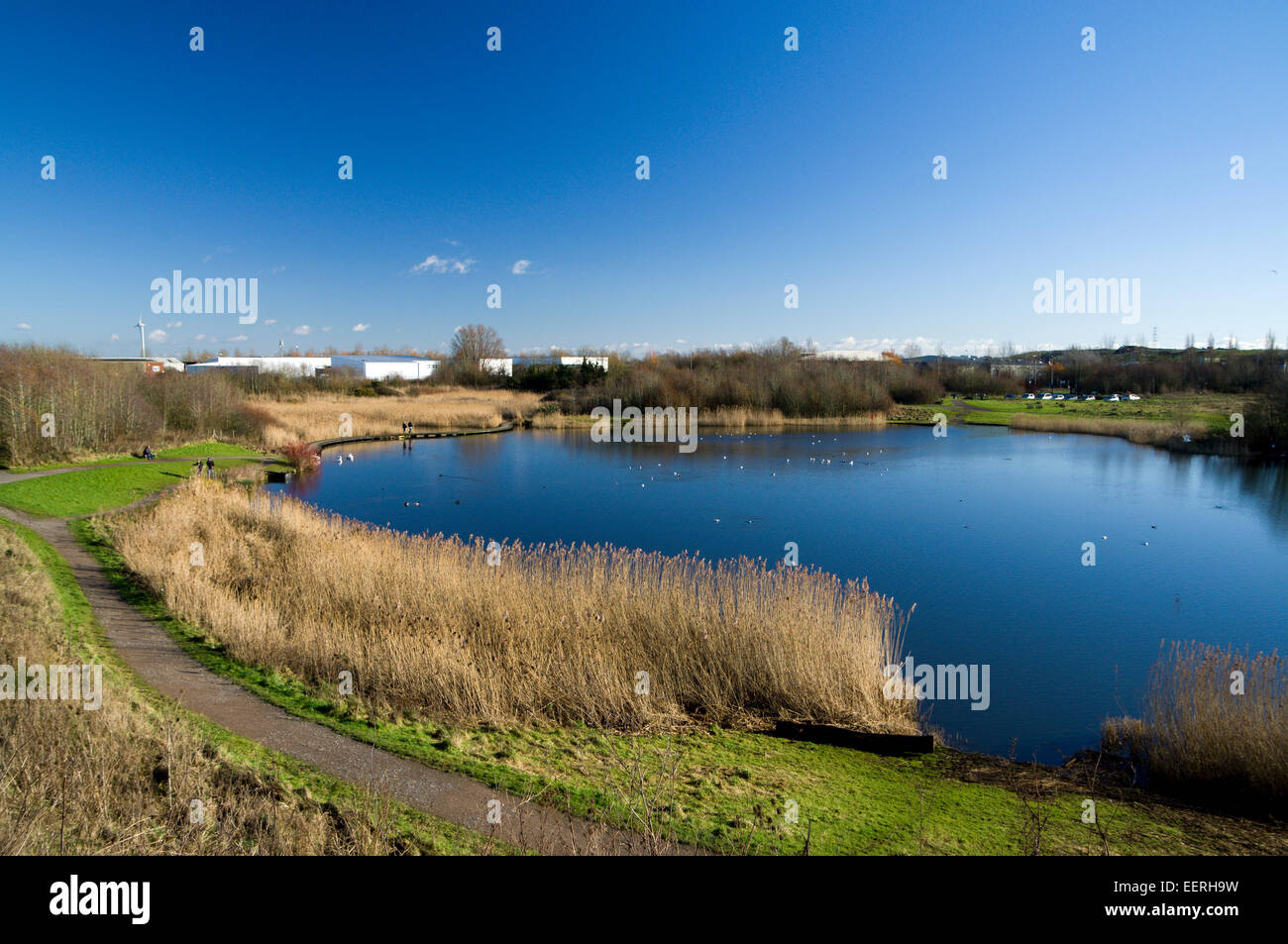 Lamby way hi-res stock photography and images - Alamy