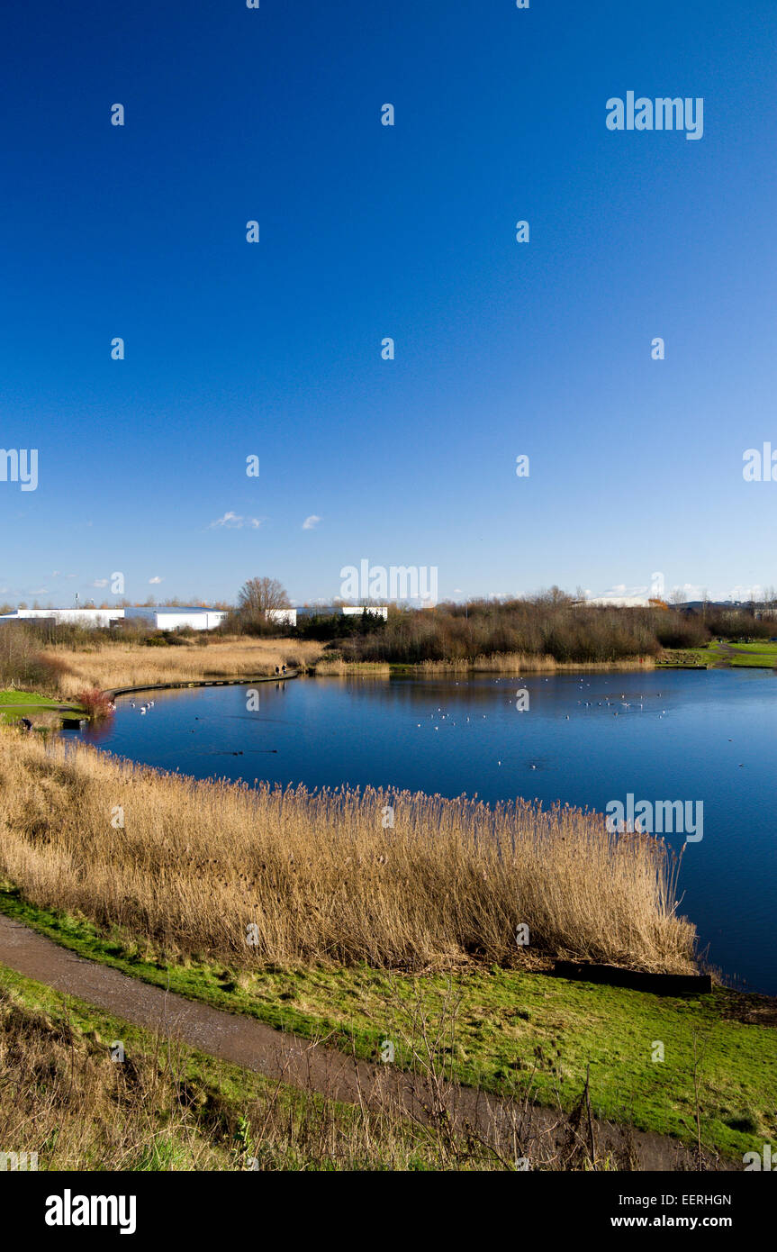 Lamby lake hi-res stock photography and images - Alamy