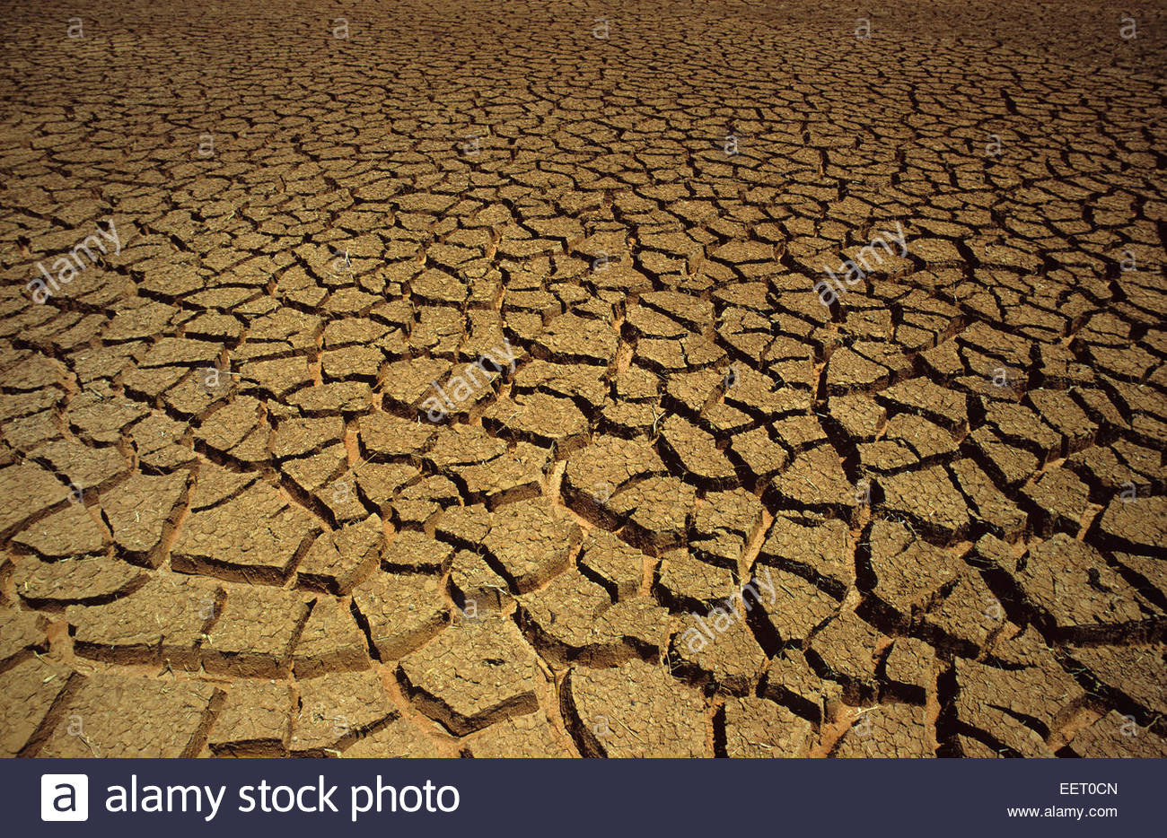 Desertification Stock Photos & Desertification Stock Images - Alamy