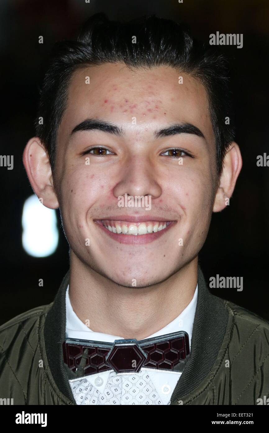 Los Angeles, California, USA. 20th Jan, 2015. Ryan Potter at arrivals ...