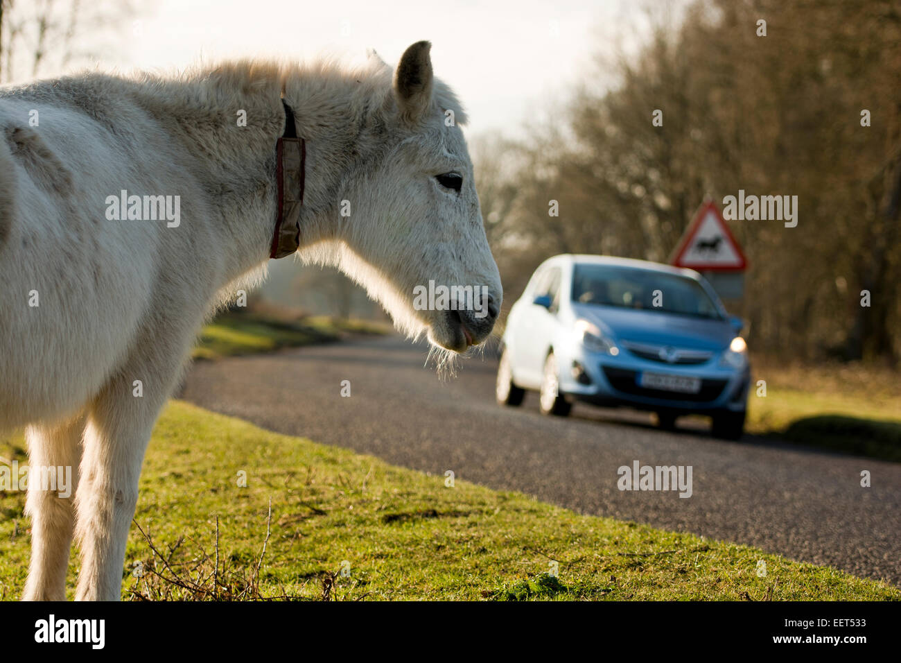 Litcham norfolk hi-res stock photography and images - Alamy