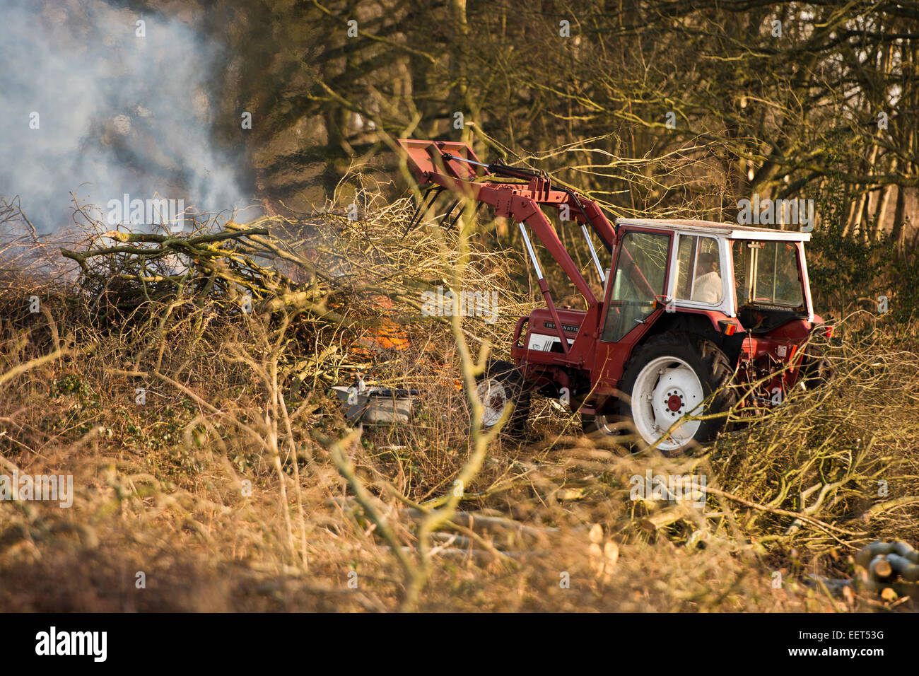 clearing burning scrub on common nature reserve Stock Photo - Alamy