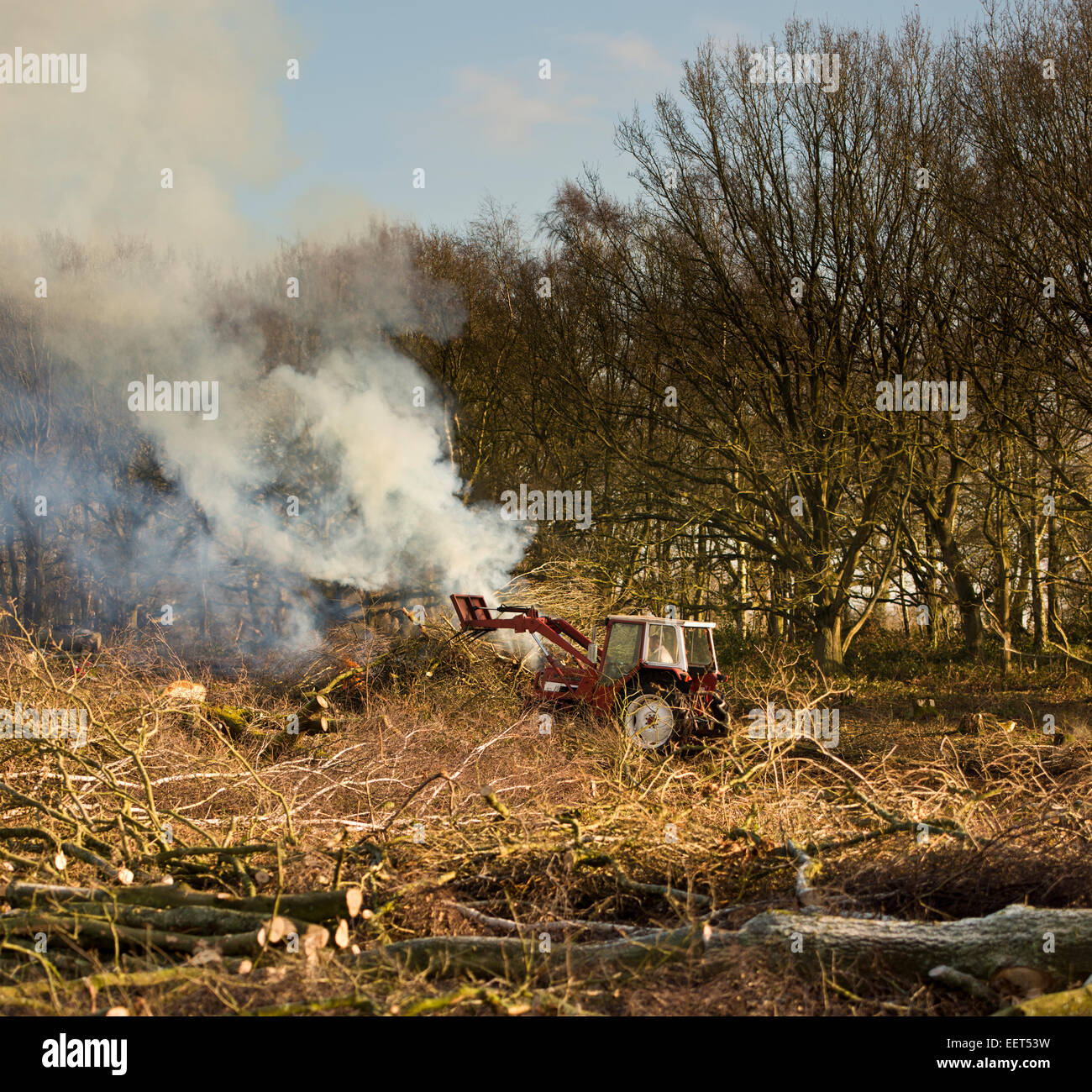 clearing burning scrub on common nature reserve Stock Photo - Alamy