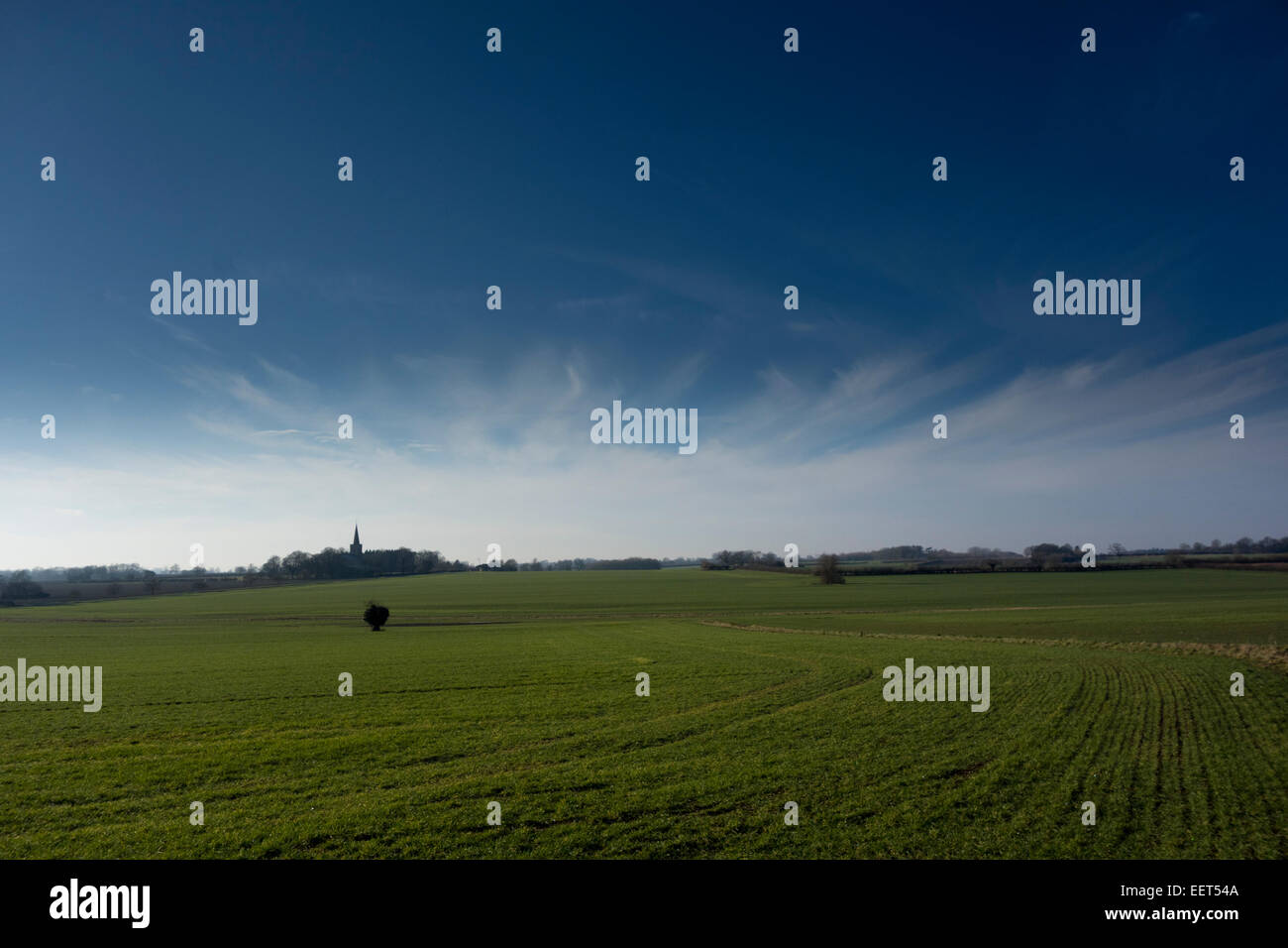Norfolk fields rural landscape Stock Photo - Alamy