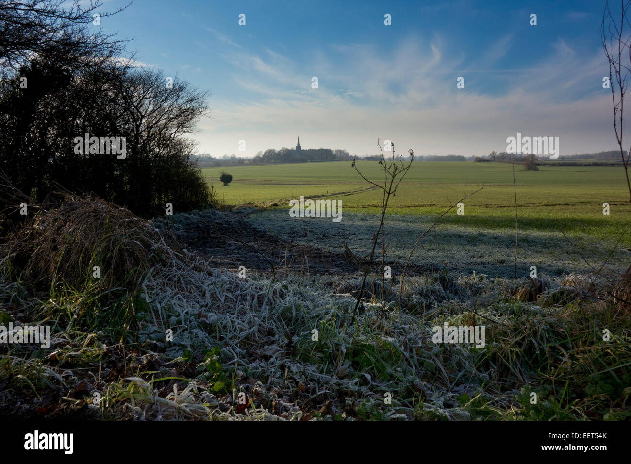 Norfolk fields rural landscape Stock Photo - Alamy