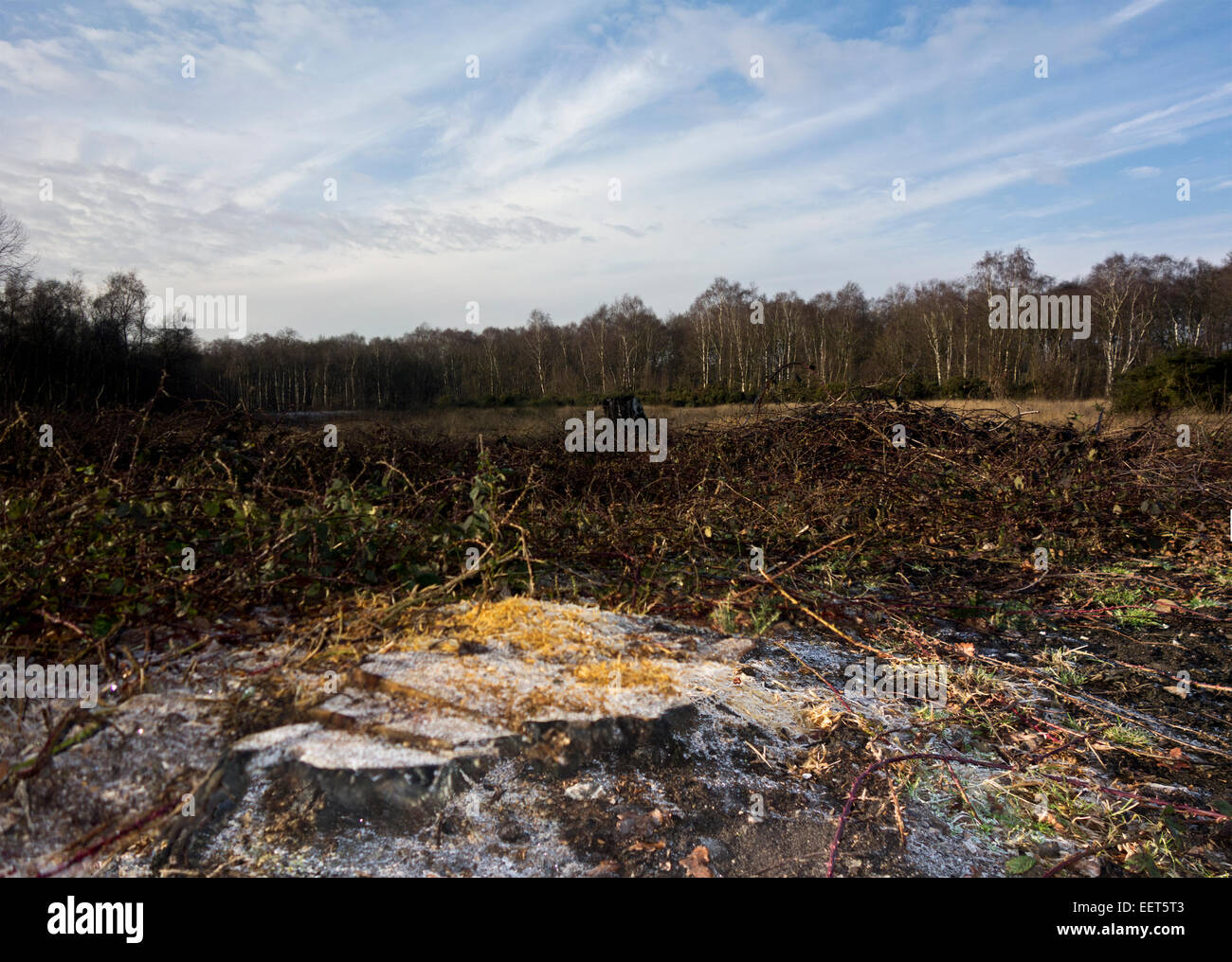 Litcham hi-res stock photography and images - Alamy